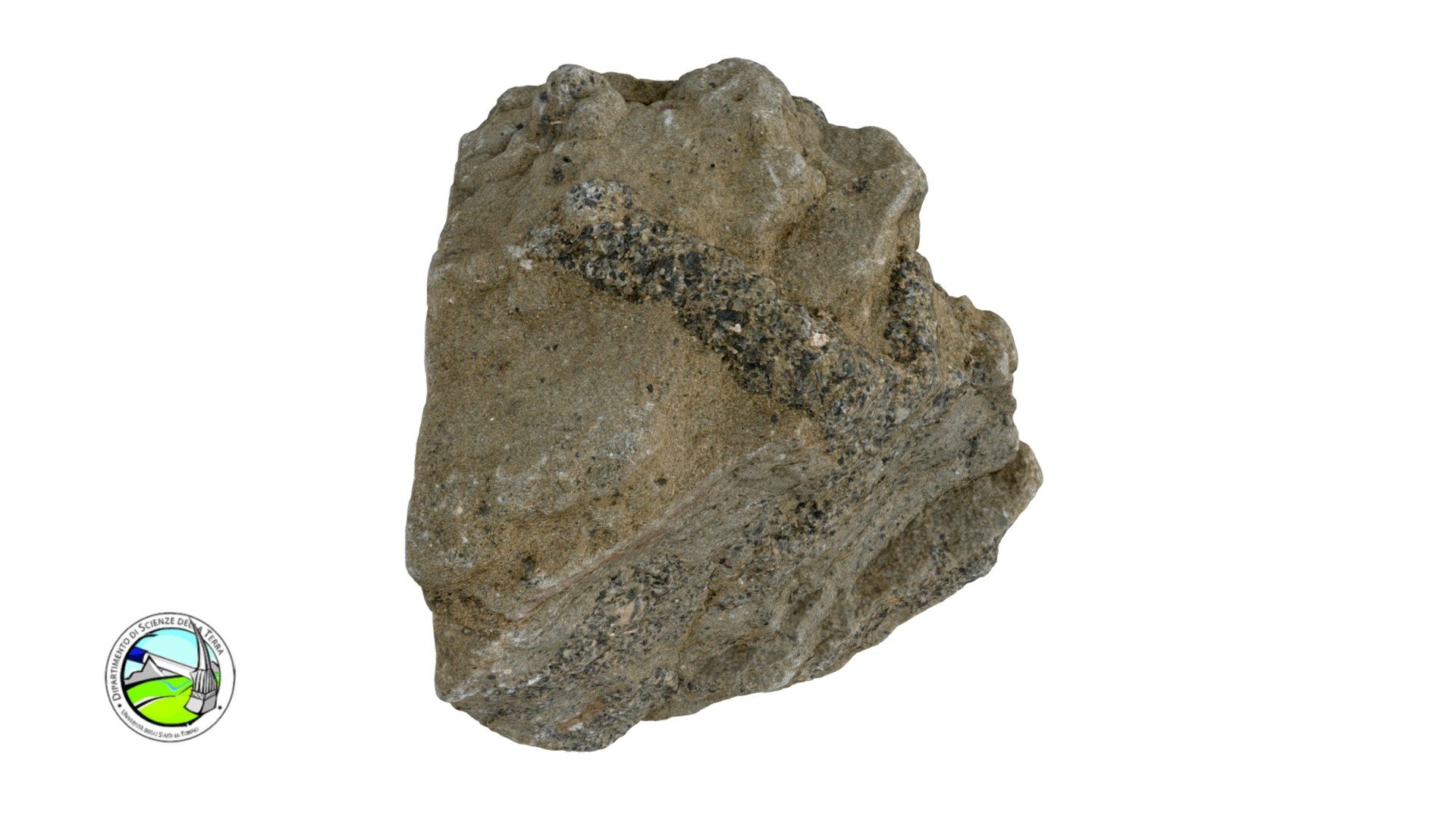 Litoarenite con bioturbazioni - 3D model by Dipartimento di Scienze ...