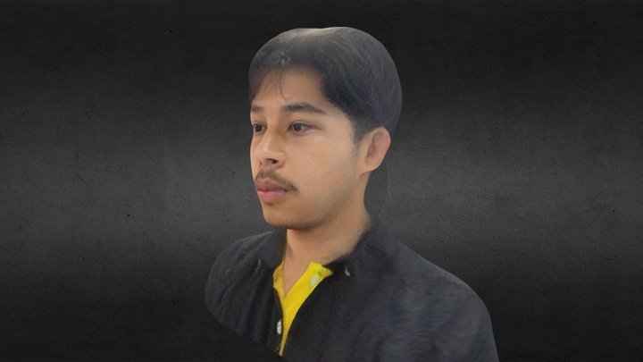 Half-body 3D models - Sketchfab