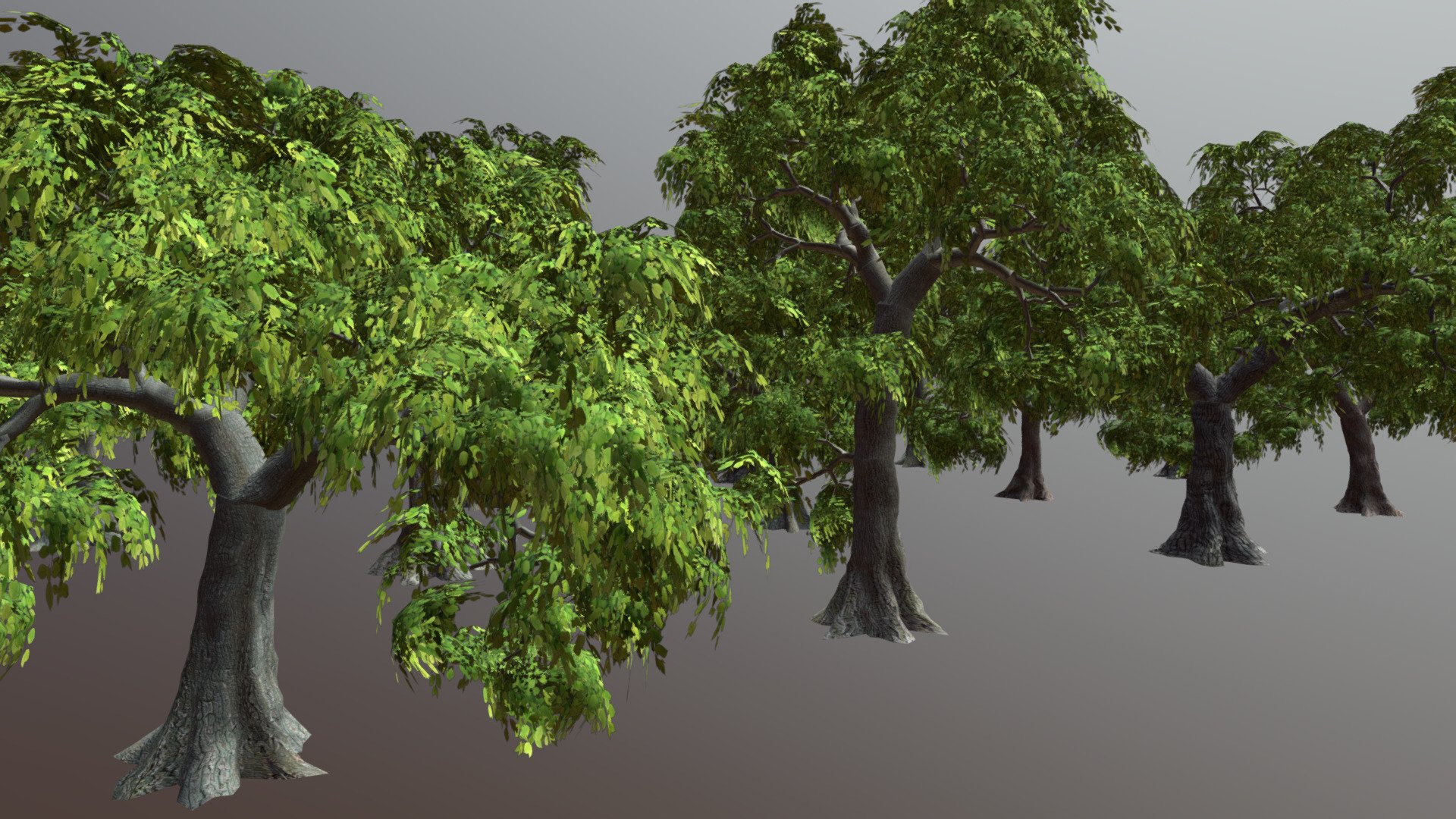 16 Deciduous Trees Pack (medium-Poly) - Buy Royalty Free 3D model by ...