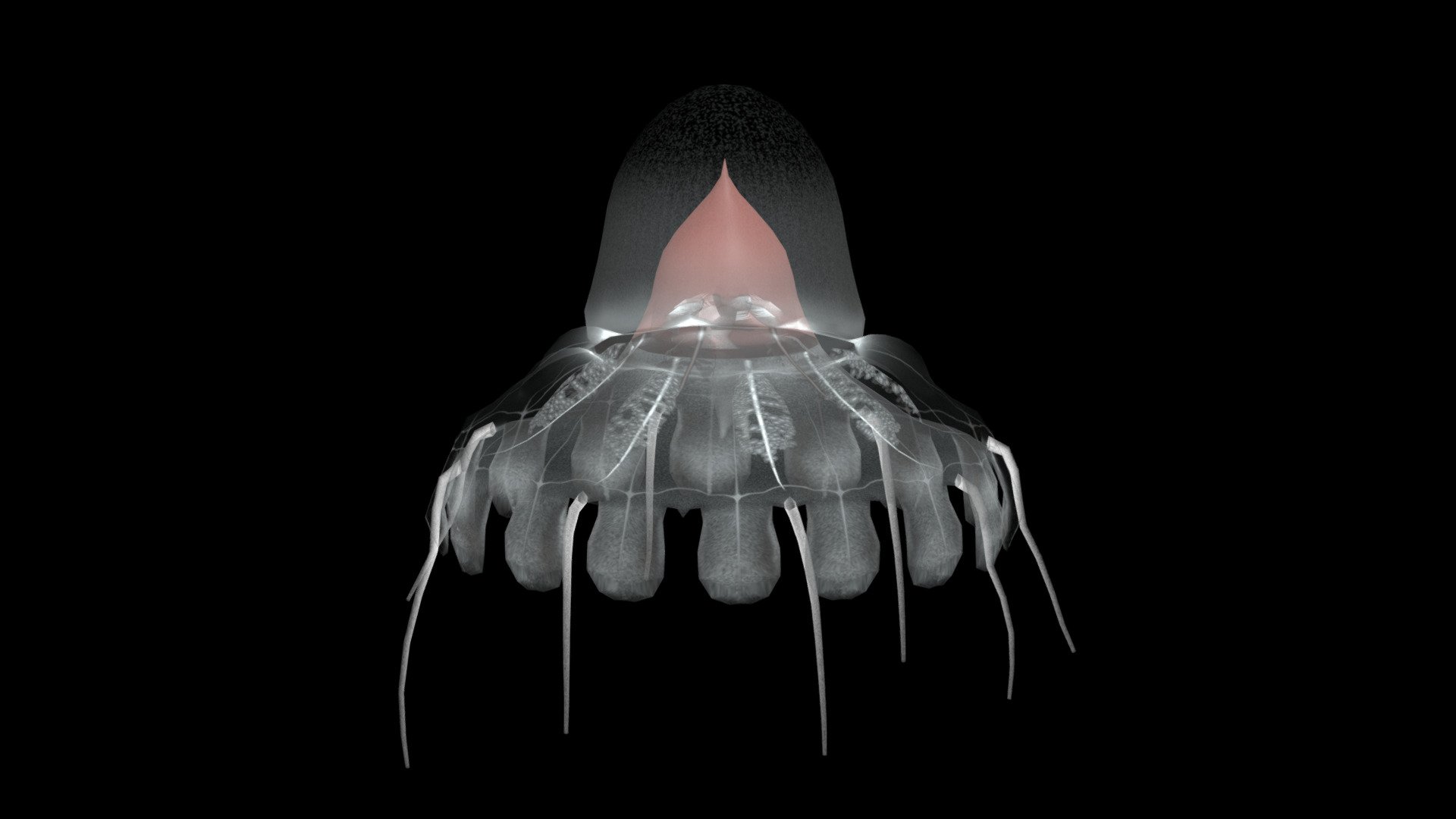 Crown Jellyfish (Coronatae) - Download Free 3D model by n- [4f357e9 ...