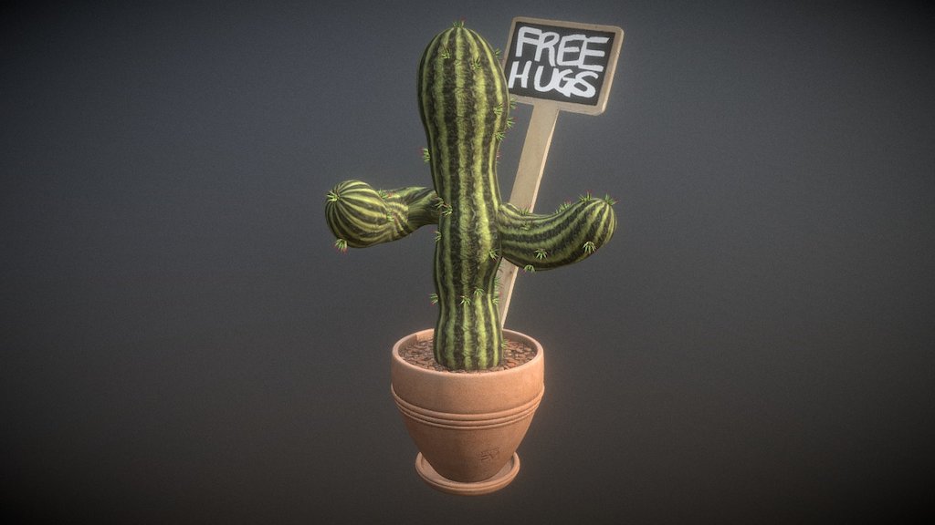 CACTUS FREE HUGS - 3D model by studiofm [4f428d9] - Sketchfab