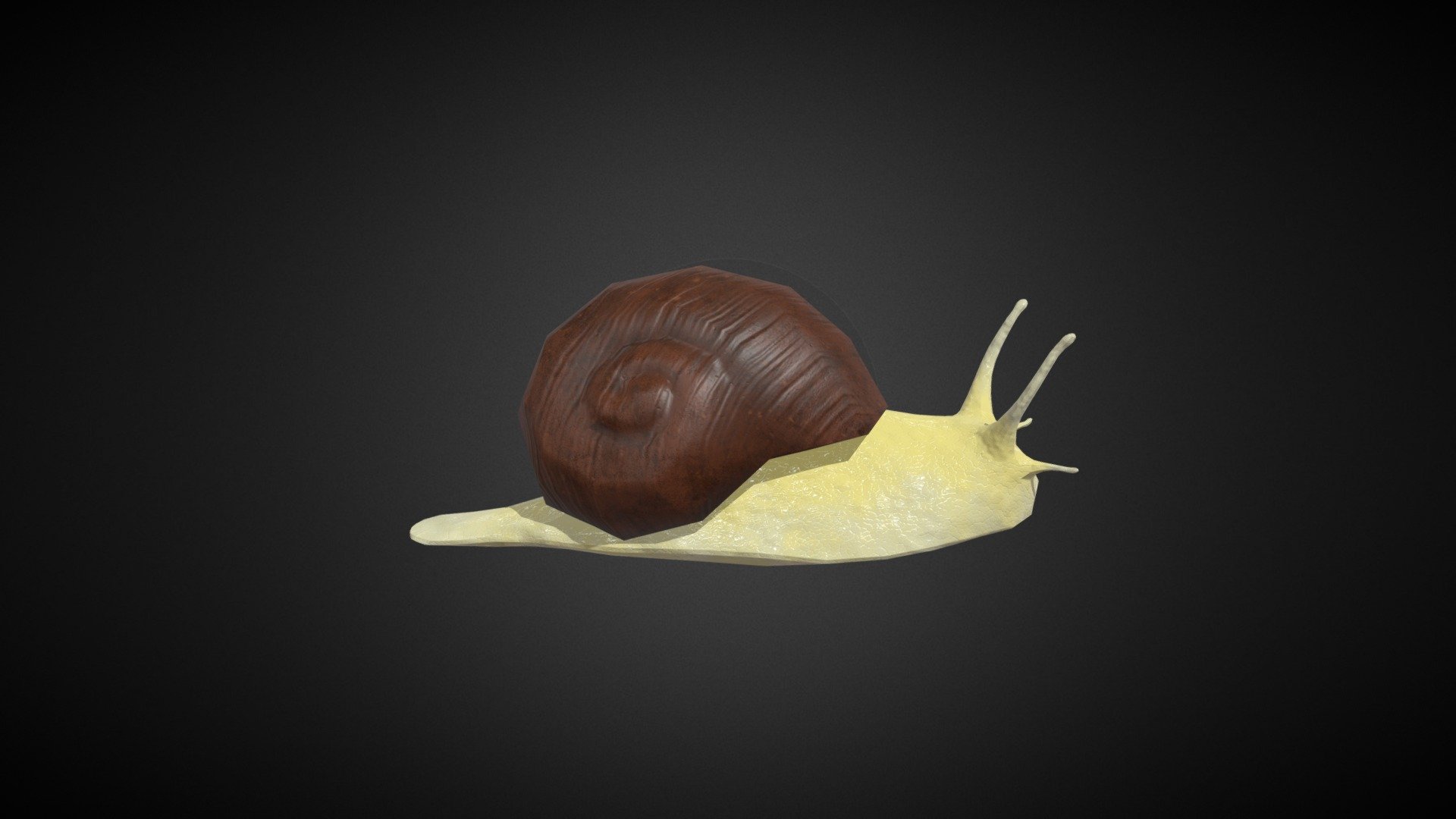 Snail - 3D model by jfr3d [4f4389c] - Sketchfab