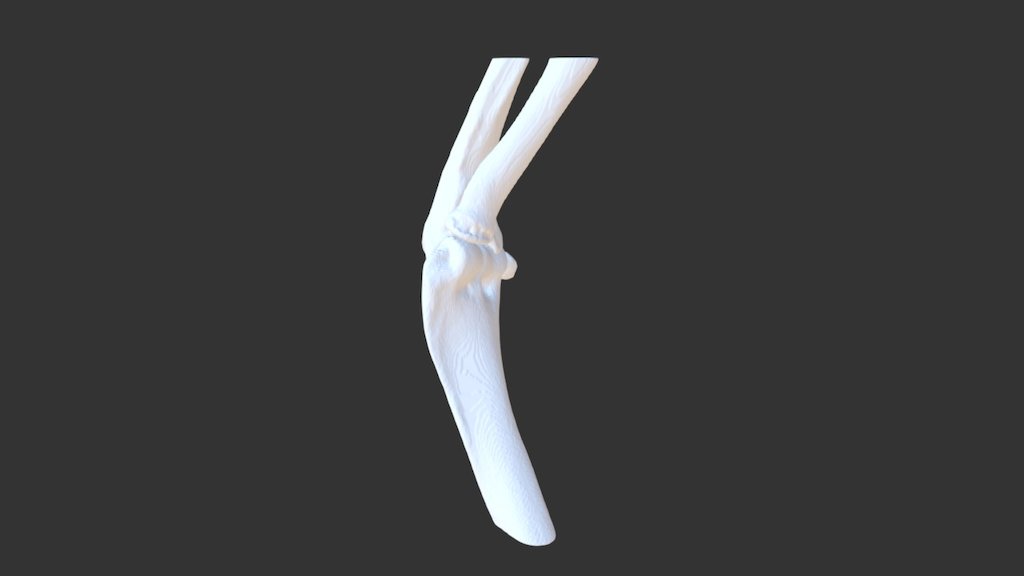 Codo / Elbow - 3D model by Juan Schilling (@jschilling) [4f47ef4 ...