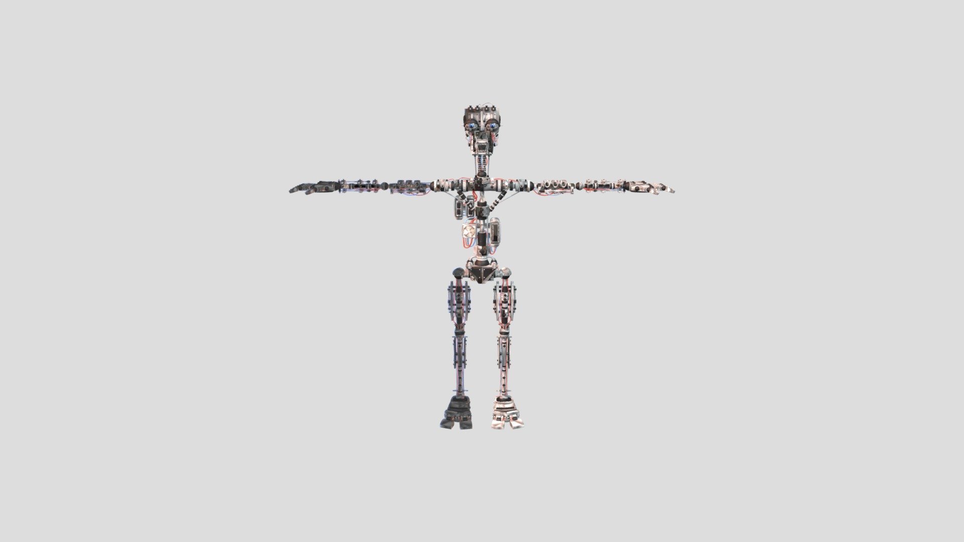 Endoskeleton Adalah