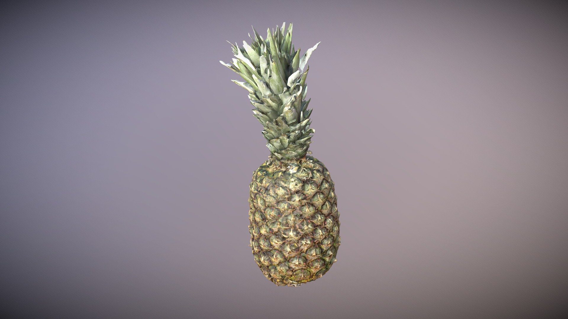 Ananas - 3D model by vedran.paravac [4f51105] - Sketchfab