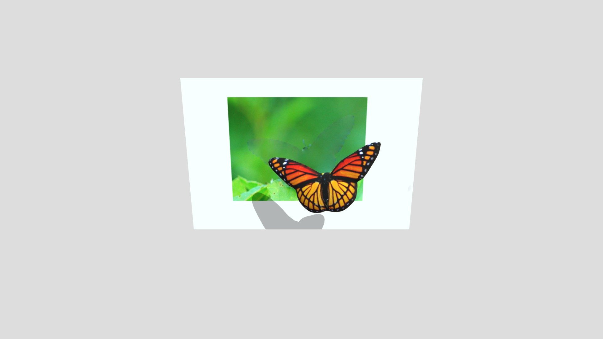 kupu-kupu - Download Free 3D model by putrir (@putricantik.pc47 ...