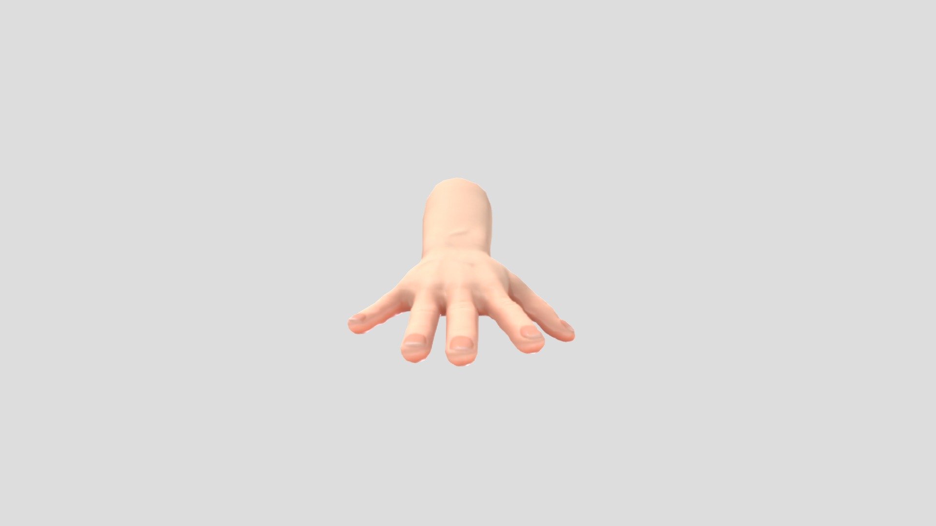 Hand Model - 3D model by Aine Keohane (@ainekeohane) [4f55897] - Sketchfab