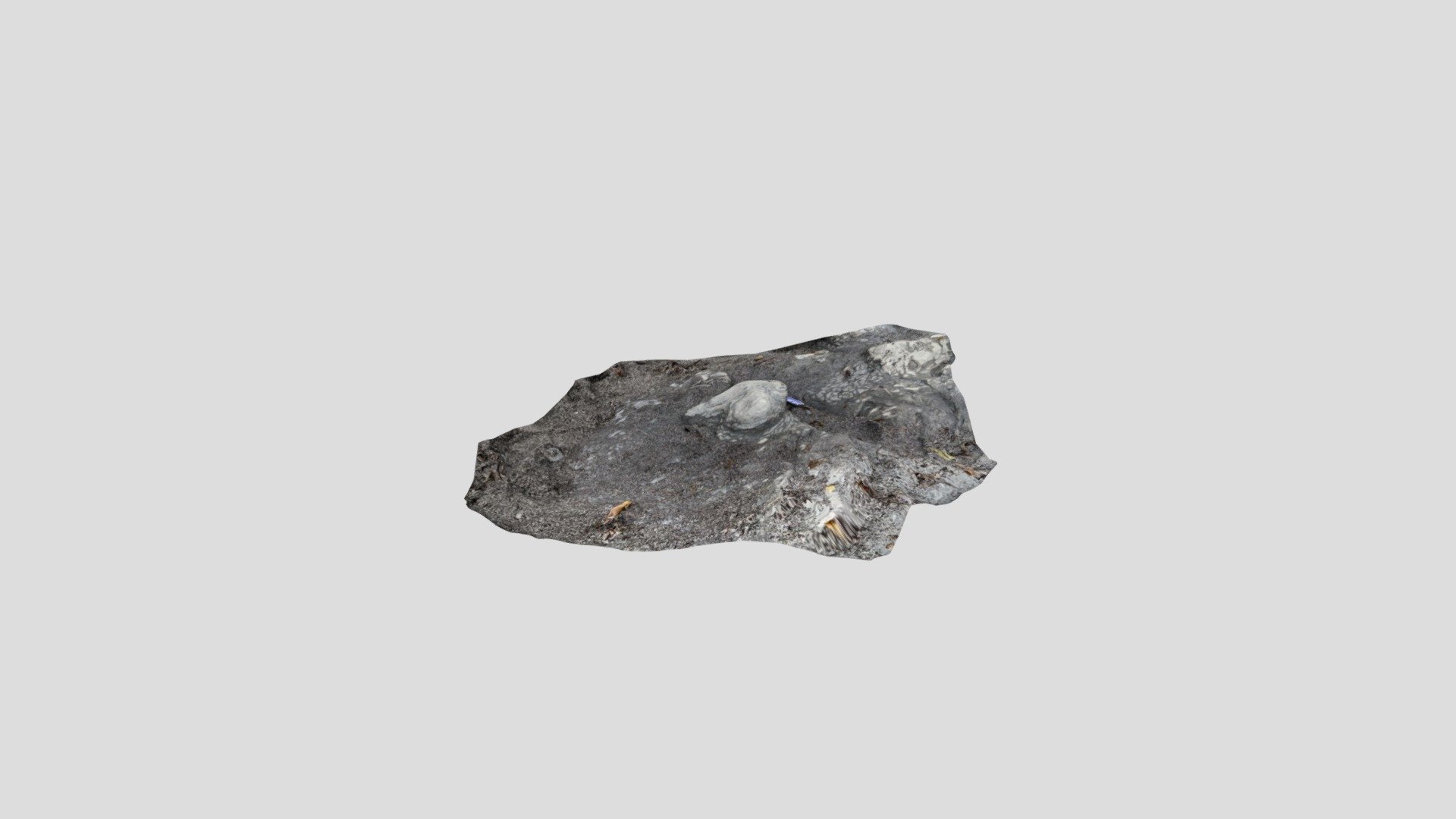 Large hadro manus - Download Free 3D model by YoshitsuguKobayashi ...