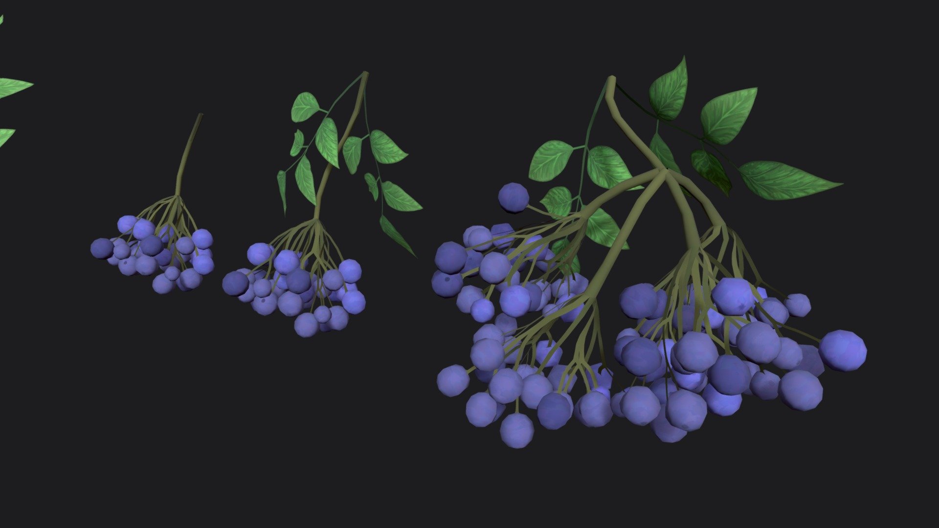 Elderberry sprig stylized plant - Buy Royalty Free 3D model by Enkarra ...