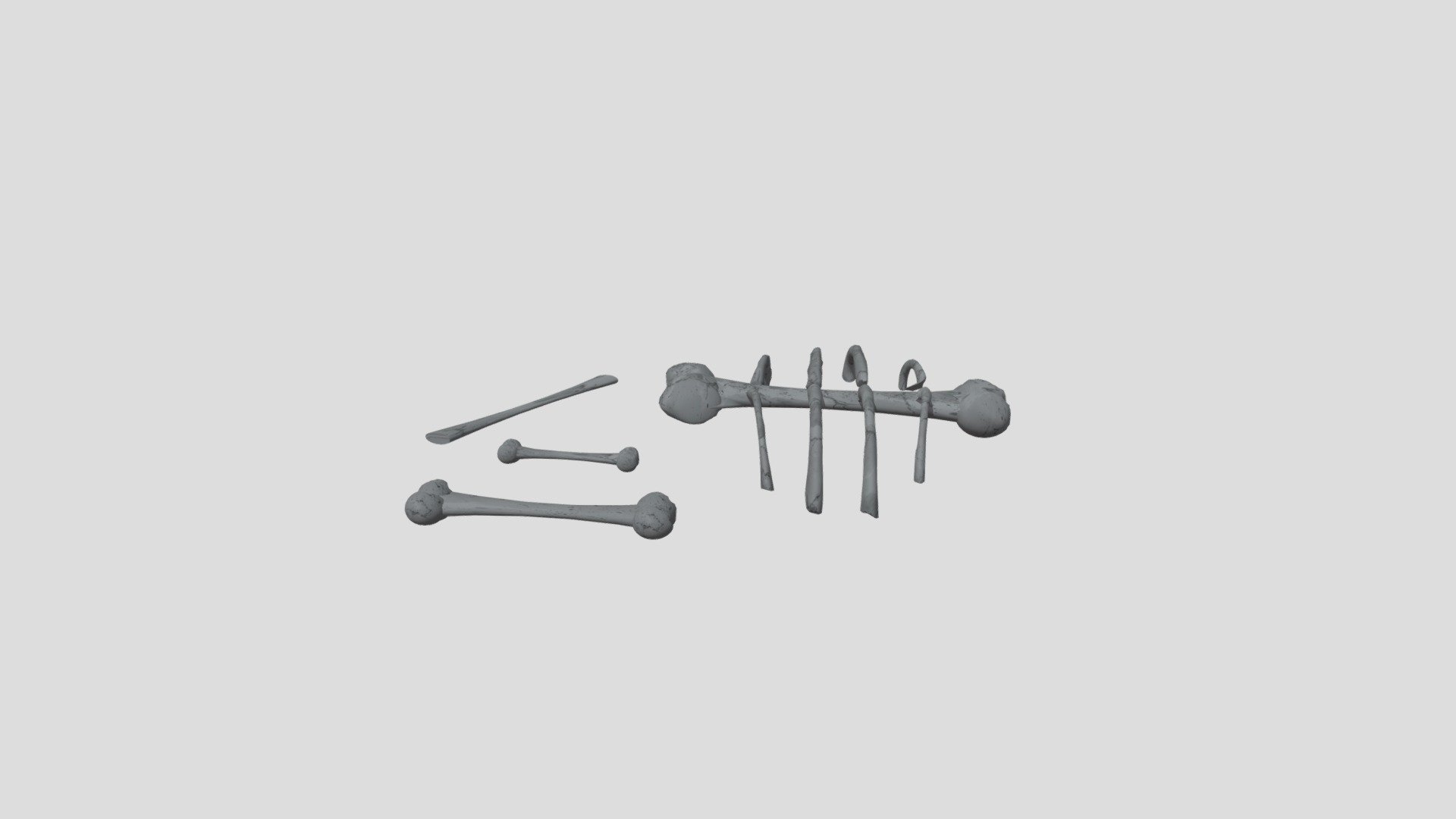Bones - 3D model by anita.eschler92 [4f64c35] - Sketchfab