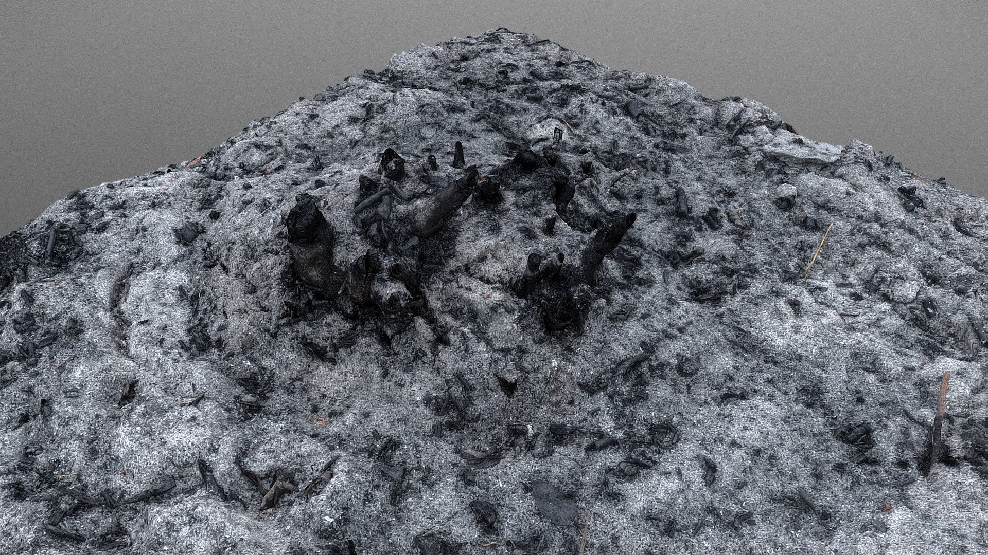 Burnt tree ash - Buy Royalty Free 3D model by matousekfoto [4f67f95 ...