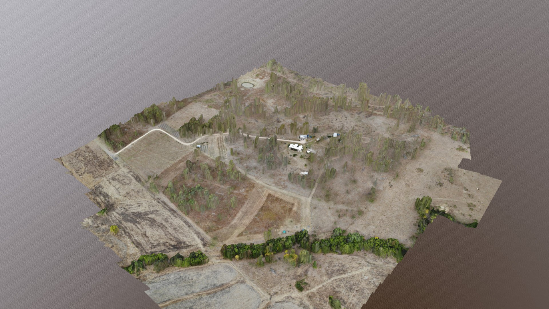 Holmwood Lavender Farm - 3D model by Ian Moffat (@archaeometry ...