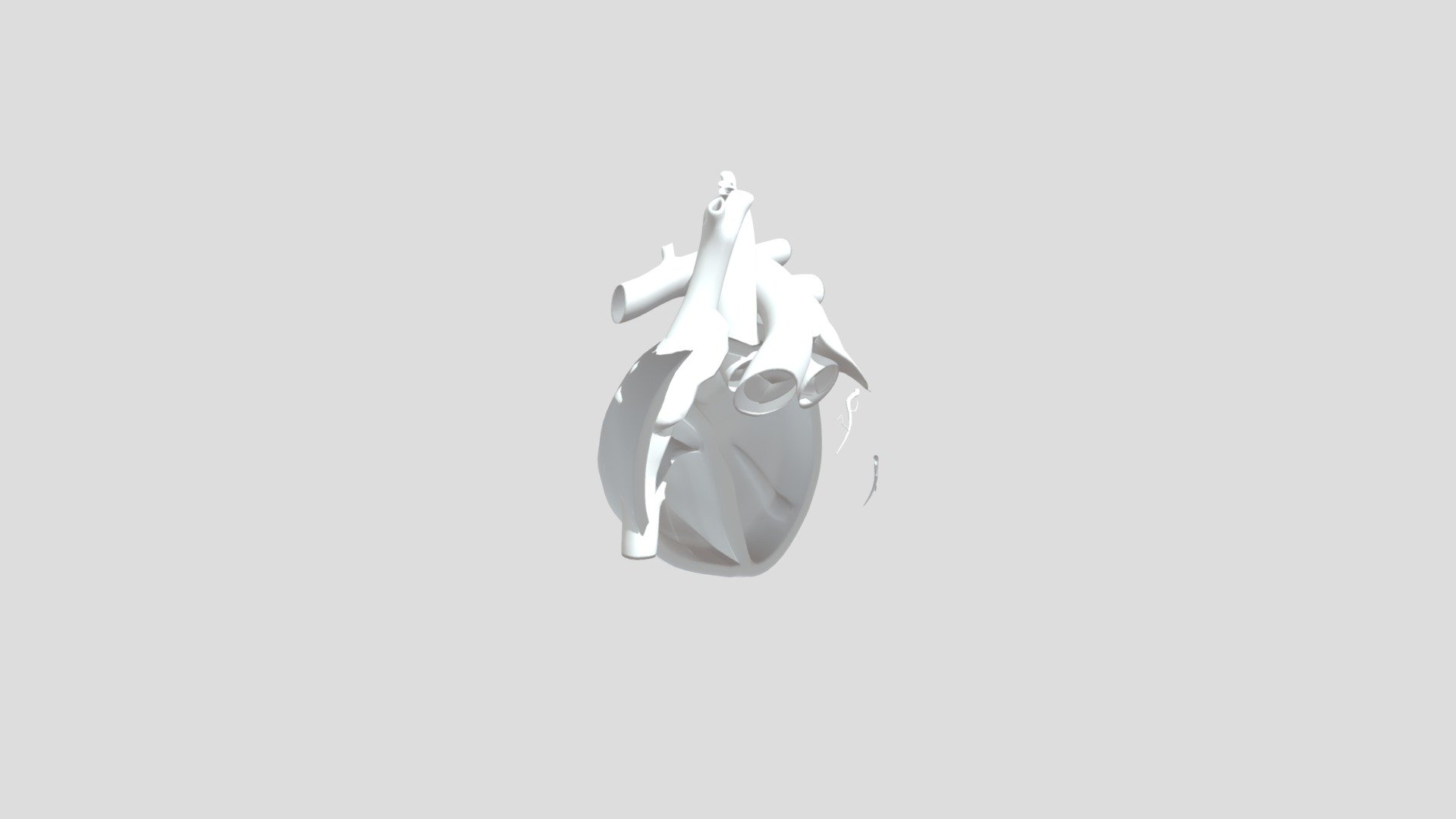 Heart pumping - 3D model by eyemo80 [4f83cfa] - Sketchfab
