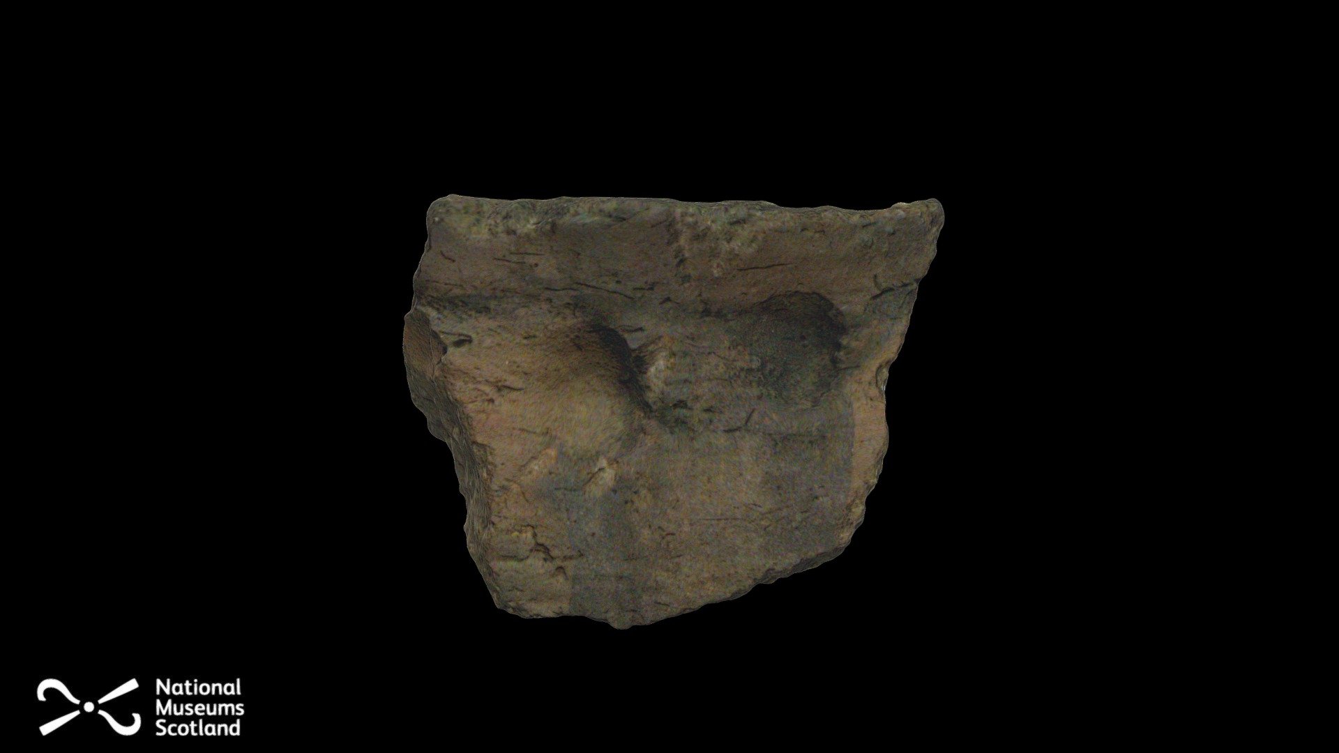 Flat-rimmed pot sherd, Galson, Lewis, Scotland - 3D model by National ...
