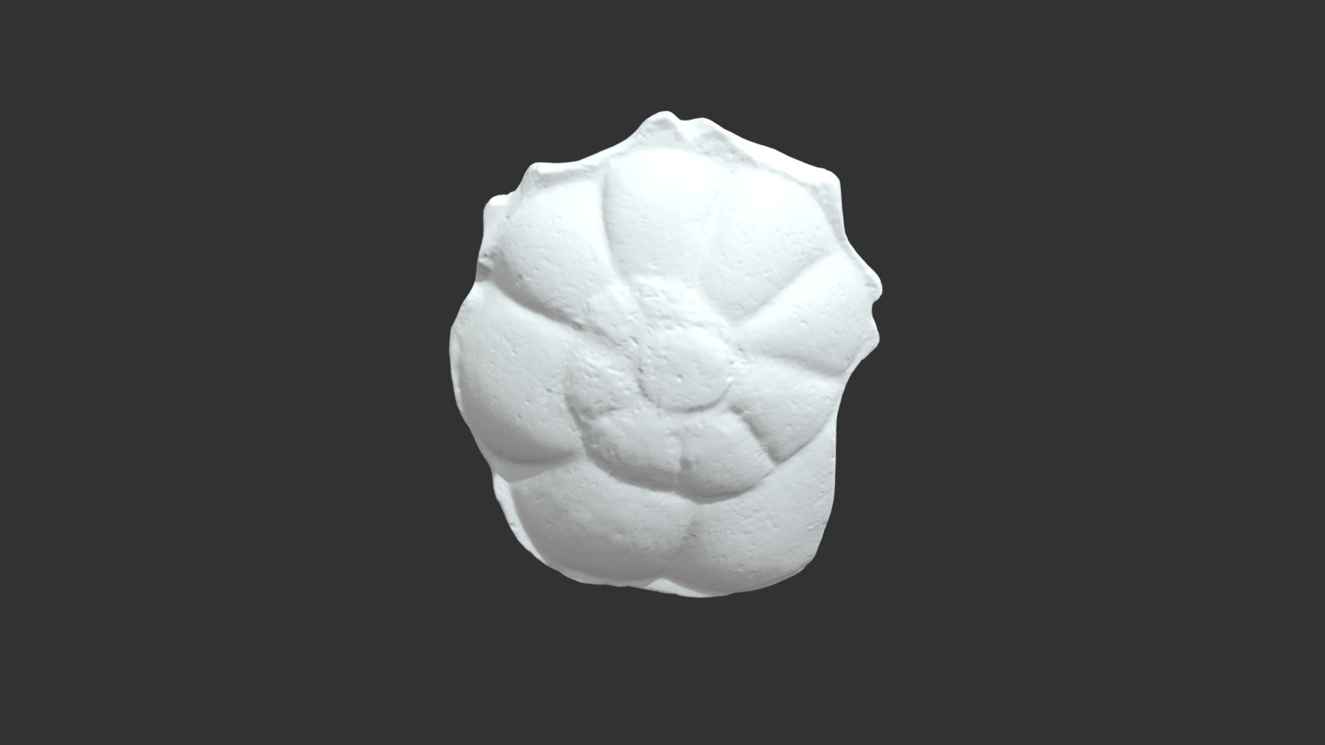 Rotalina bisaculeata (206543) - 3D model by Photo3D (@vect3d) [4f879cb ...