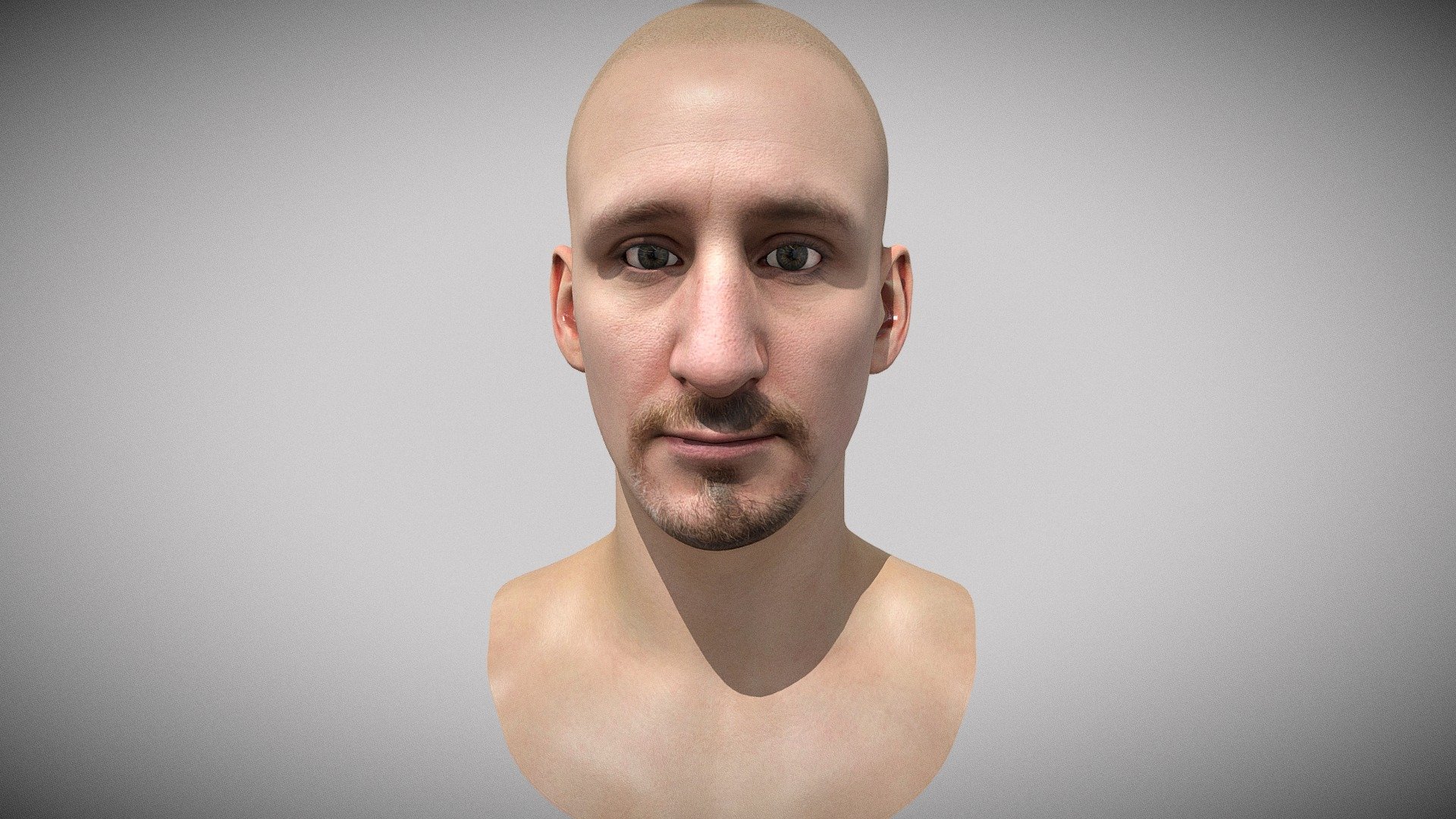 Didimo - Download Free 3D model by russellhall101 [4f8b754] - Sketchfab