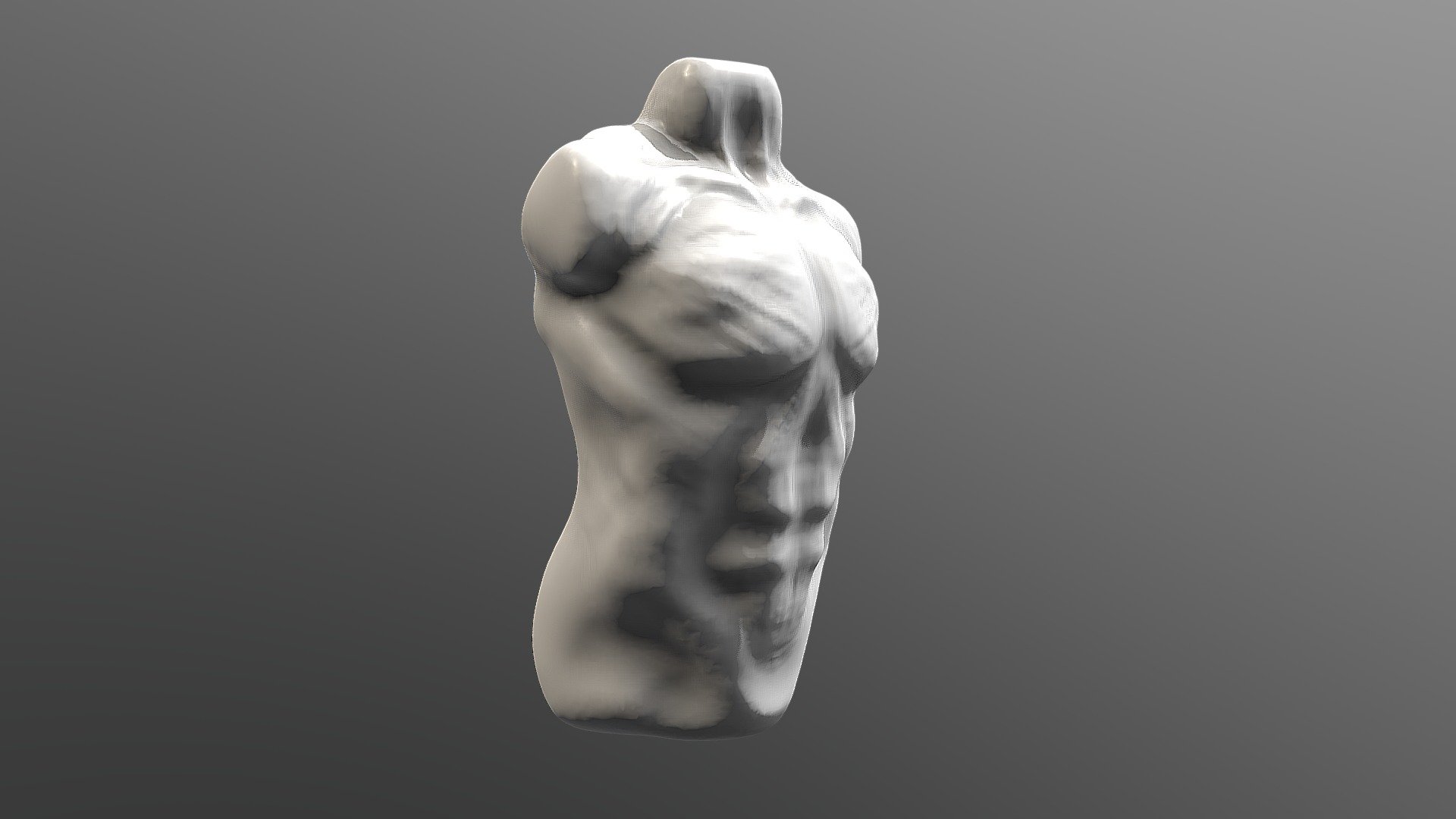 Anatomy Practice 1 - 3D model by Eleanor Biggin (@EBiggin) [4f8c21c ...
