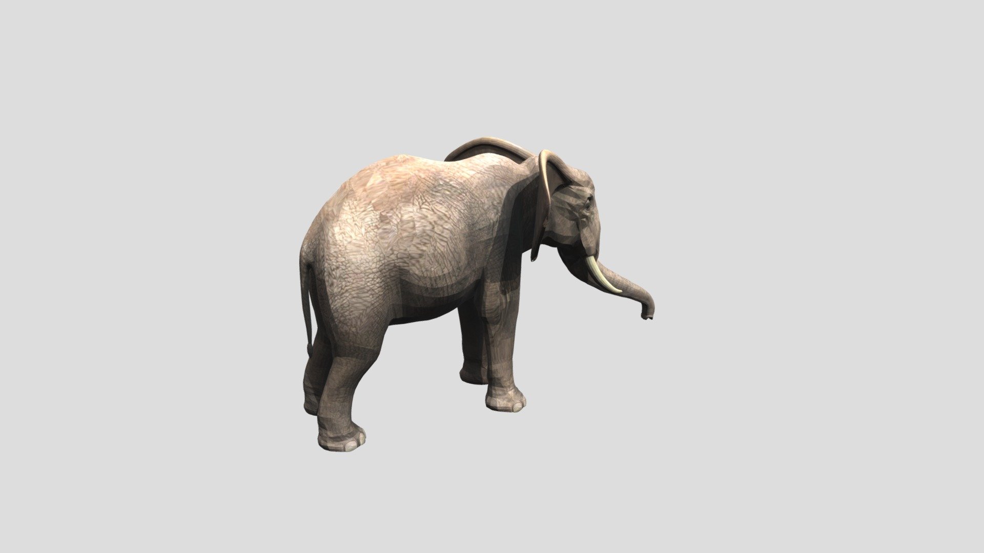 Fauna Paradise - 3D model by jitagon [4f8e46e] - Sketchfab