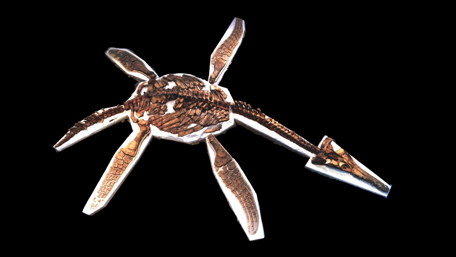 Poly_Model - 3D model by espenkn80 [4f92364] - Sketchfab