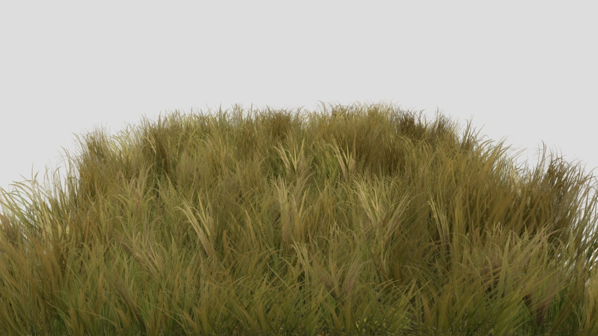 Grass - 3D model by bahaa2 [4fa4bb7] - Sketchfab