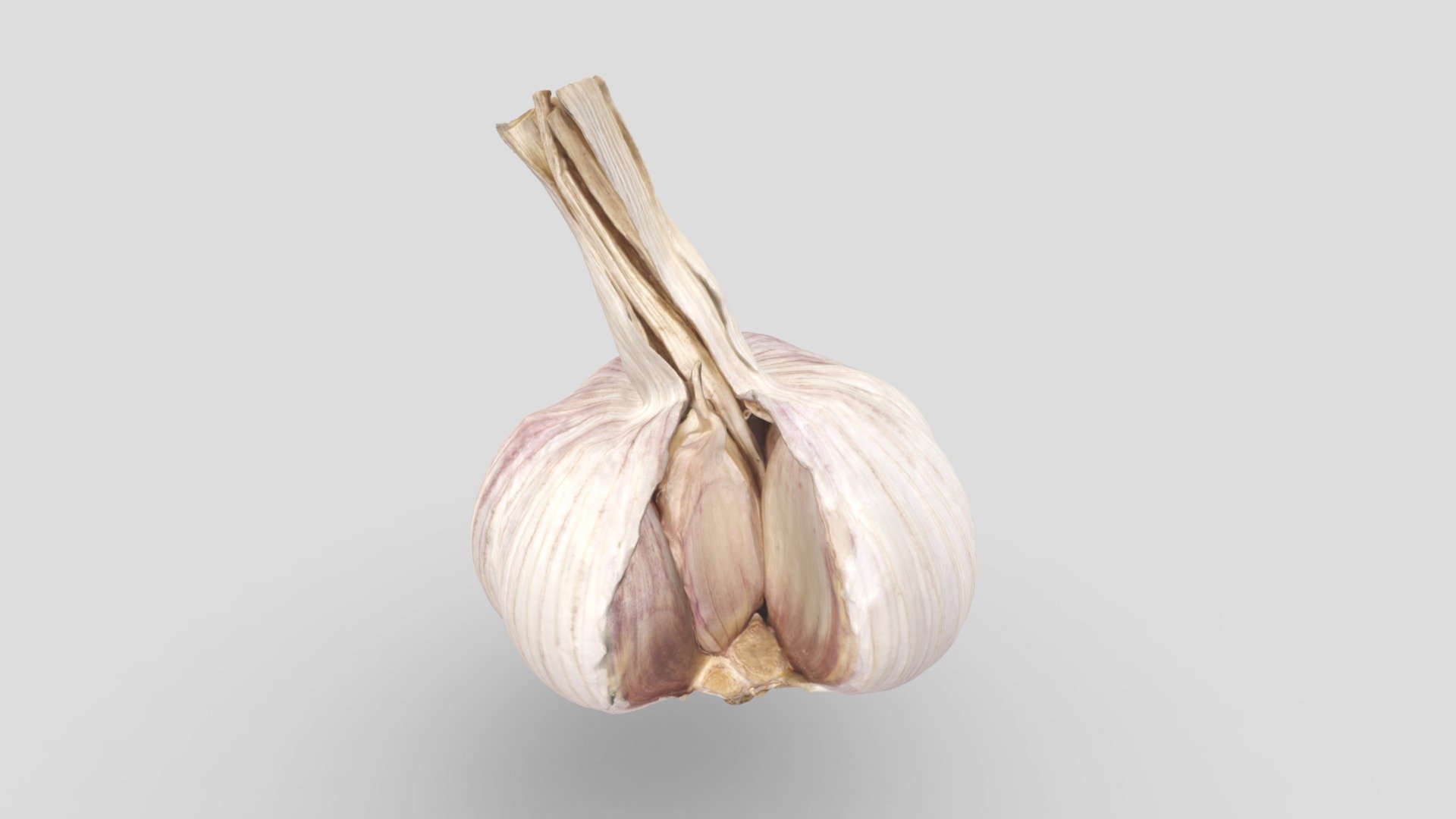 Garlic - Download Free 3D model by mjk (@mjkzz) [4faddcf] - Sketchfab