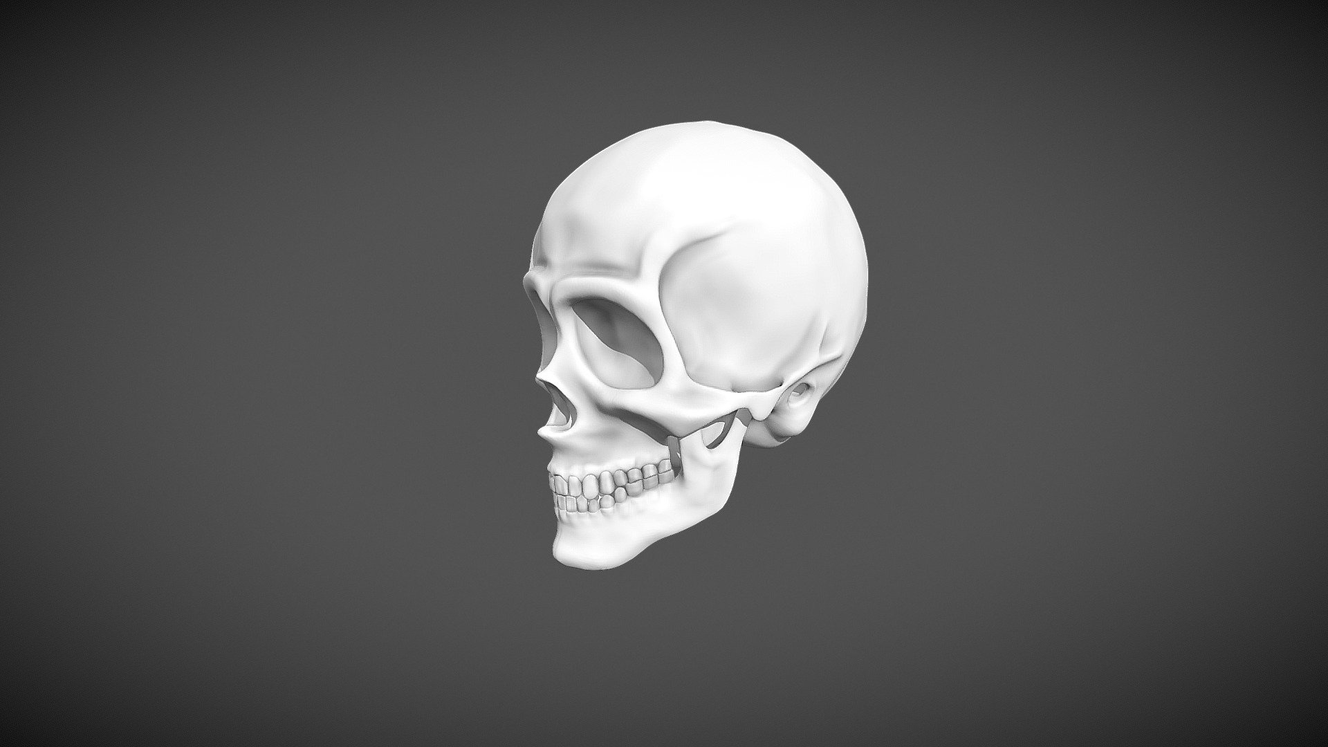 Skull - 3D model by Bernard_Sokolowski [4faef8d] - Sketchfab