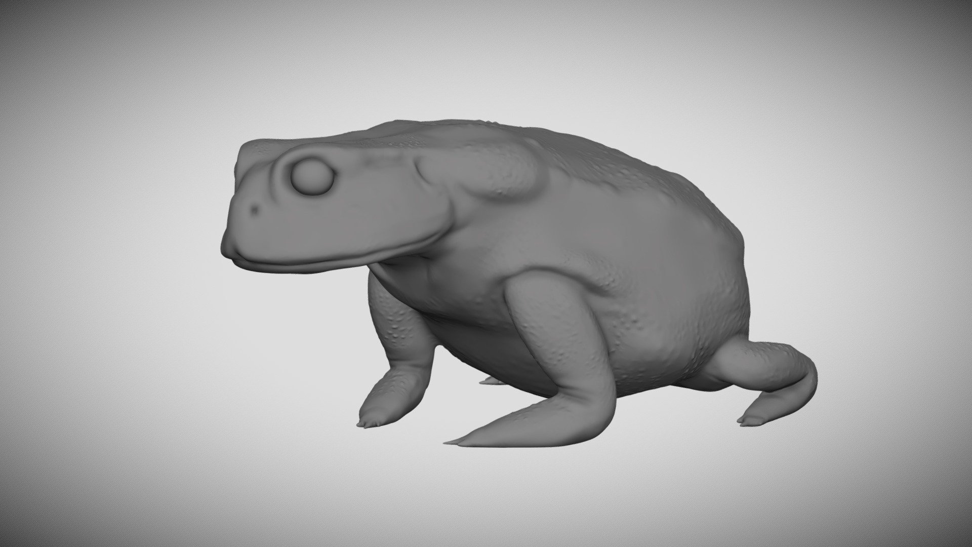 Cane Toad Sculpt - 3D model by Espen Rygh Pettersen ...