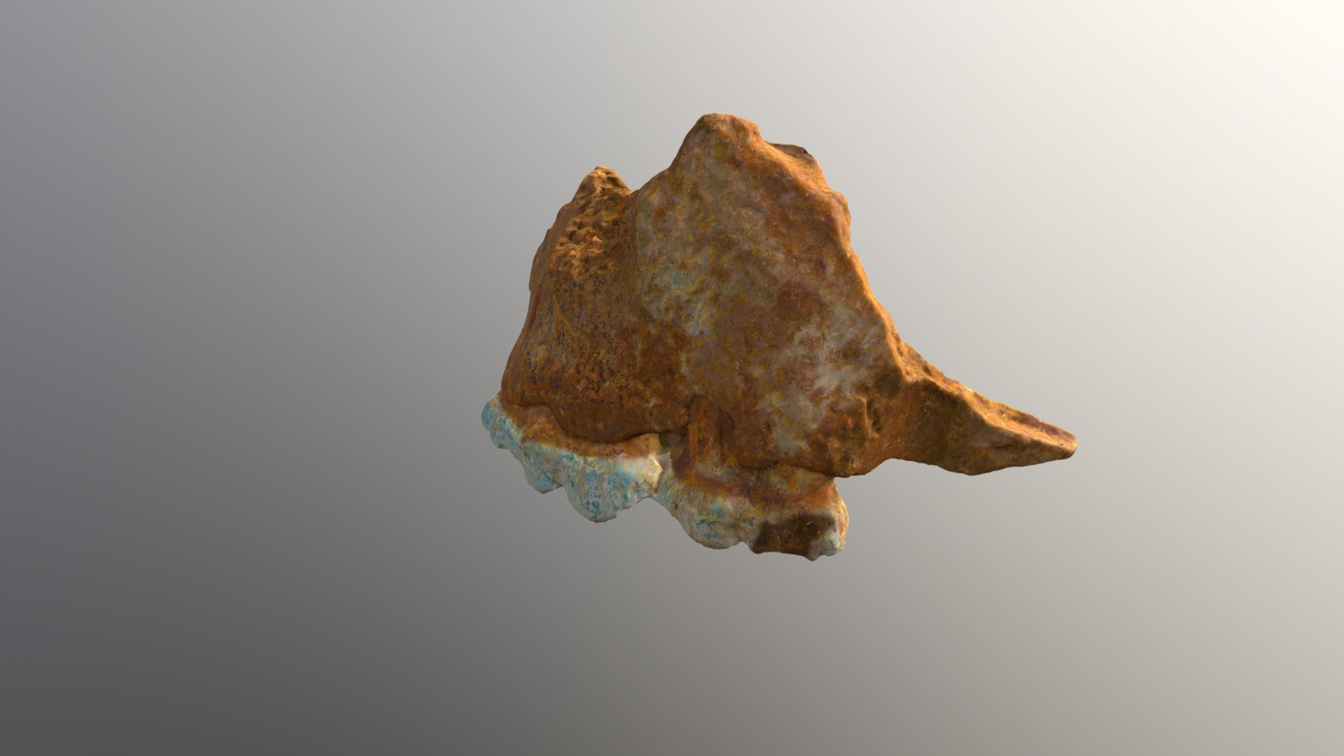 Cave Bear Maxilla (VCU_3D_3995) - 3D model by Virtual Curation Lab ...