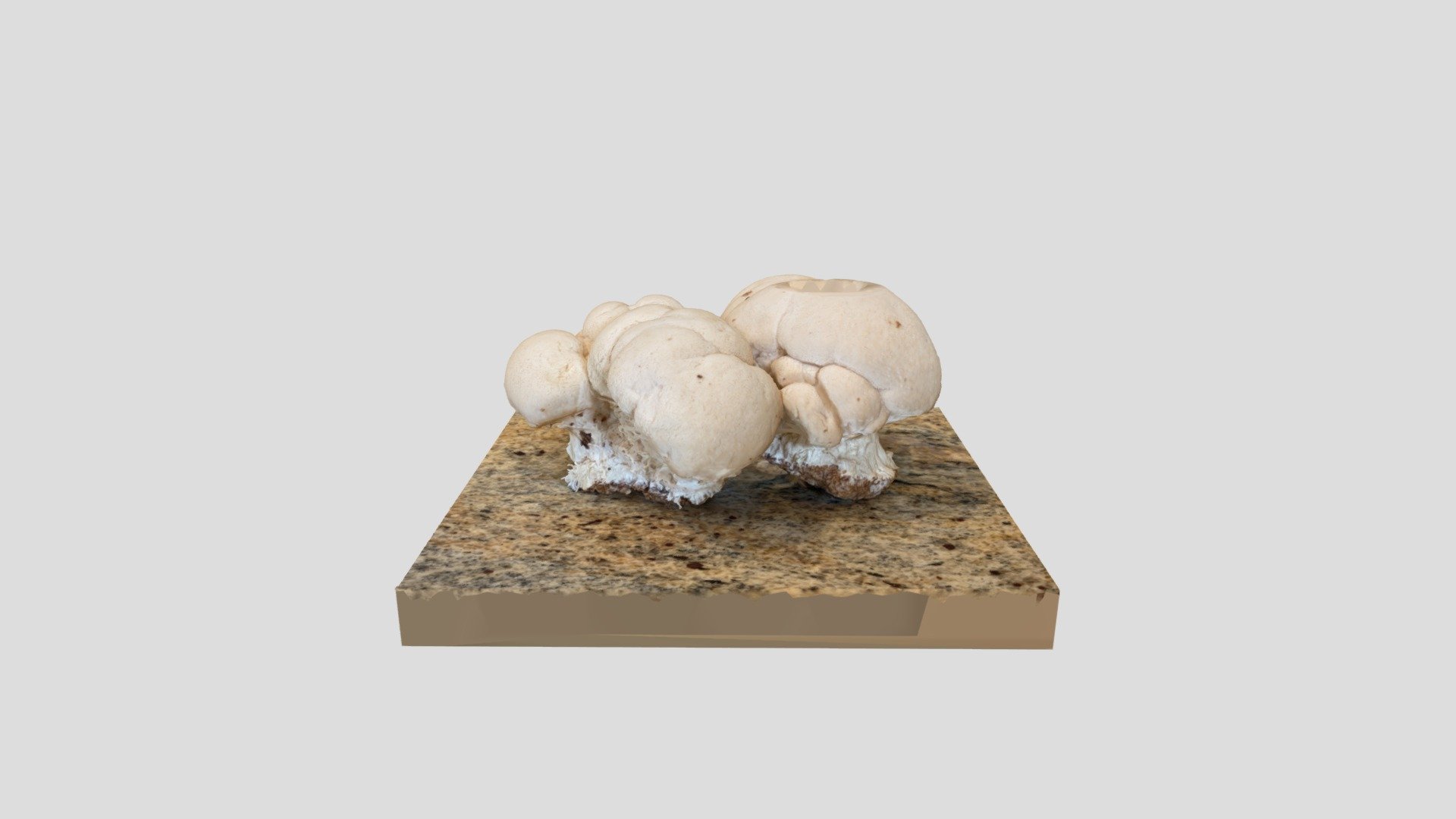 Scan 2023-01-05T21:25:44.950Z - Download Free 3D model by ghoststudio ...