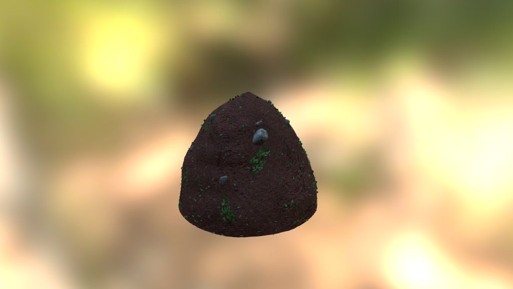 Hi Res Anthill with tunnels - 3D model by NoobPoison (@OwenJafferson ...