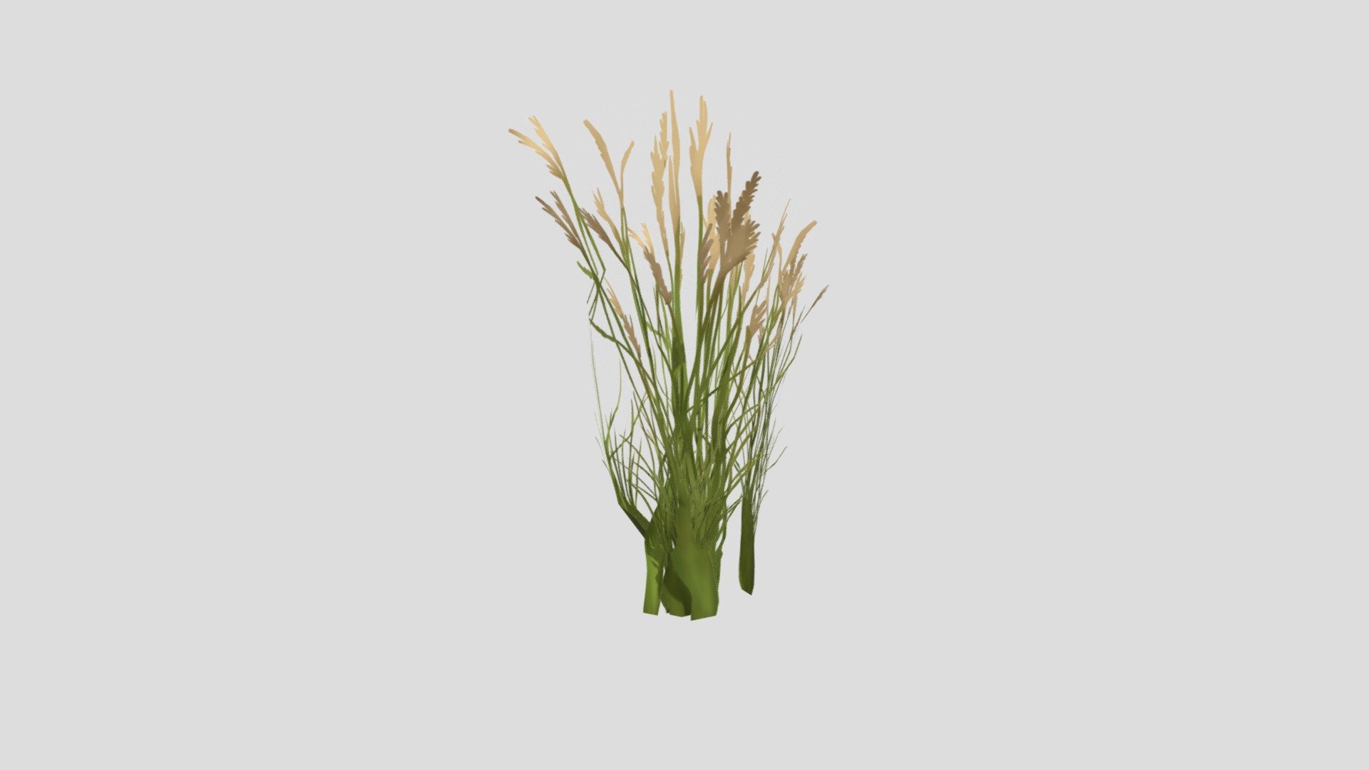 Stylized Feathered Reed 1/3 - 3D model by Yohanna Ishoj-Paris (@yohanna ...