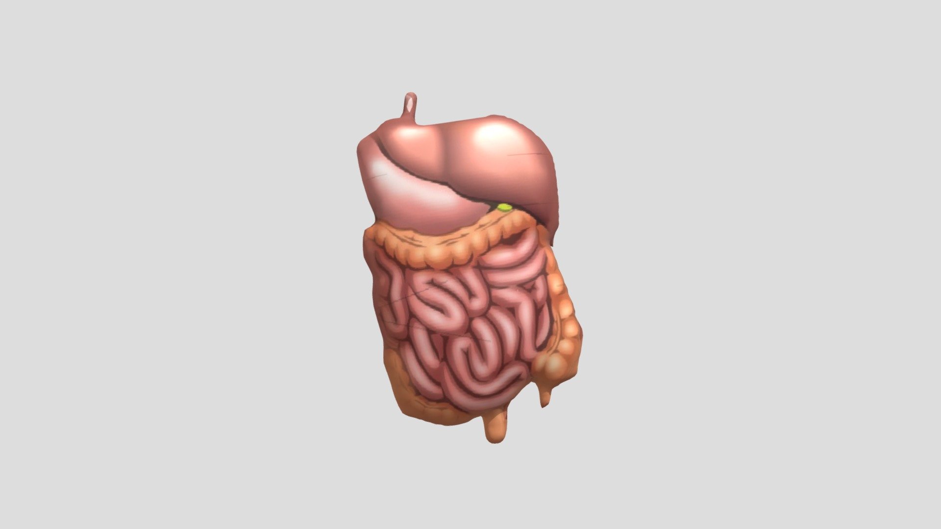 organ - 3D model by pitriyani [4fca97b] - Sketchfab