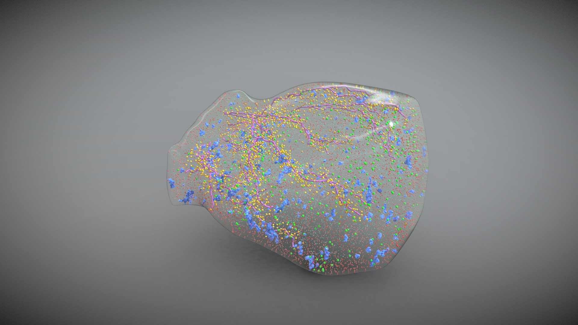xirou2 - 3D model by Leon Tung (@leontung999) [4fda233] - Sketchfab