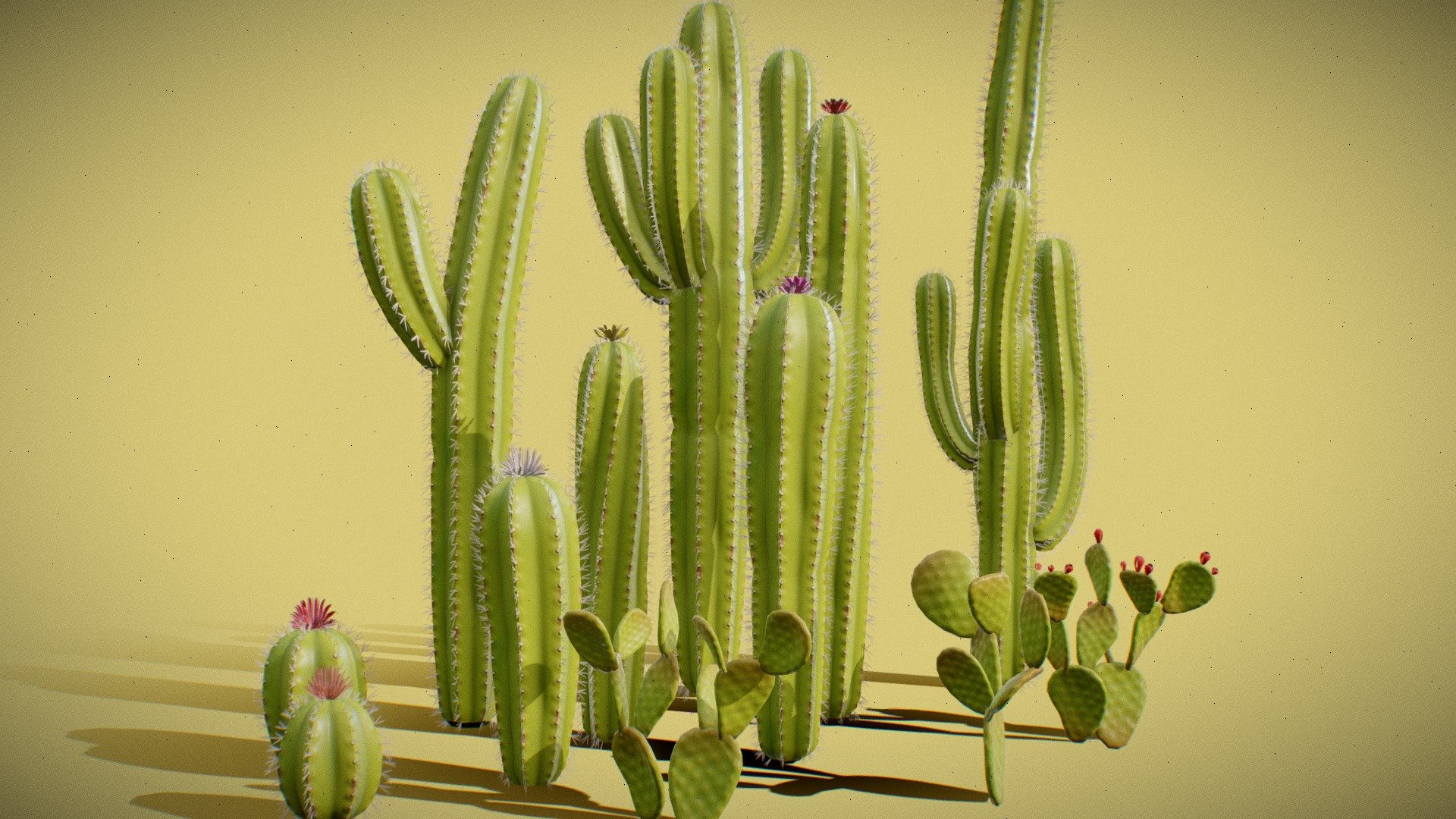 Stylized Cacti / Cactus Pack - Buy Royalty Free 3D model by Serhii3D ...