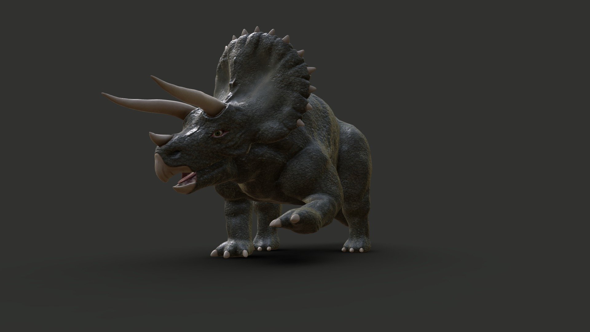 Triceratops - 3D model by Brennen Caron (@carbrenn) [4fdb6f6] - Sketchfab