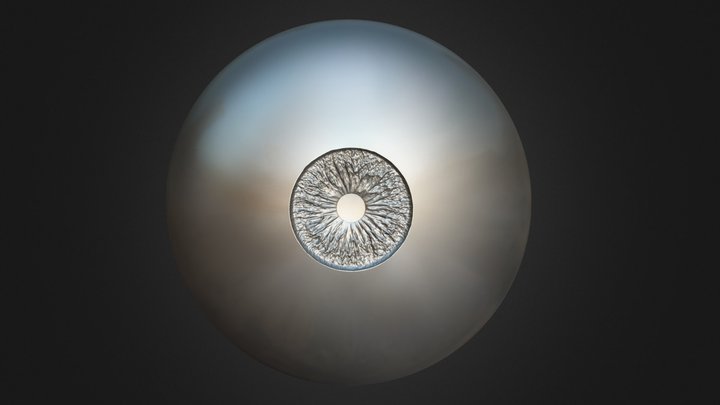 Eye-texture 3D models - Sketchfab