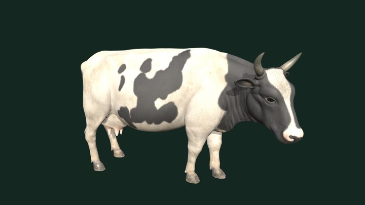 Cow 3D models - Sketchfab