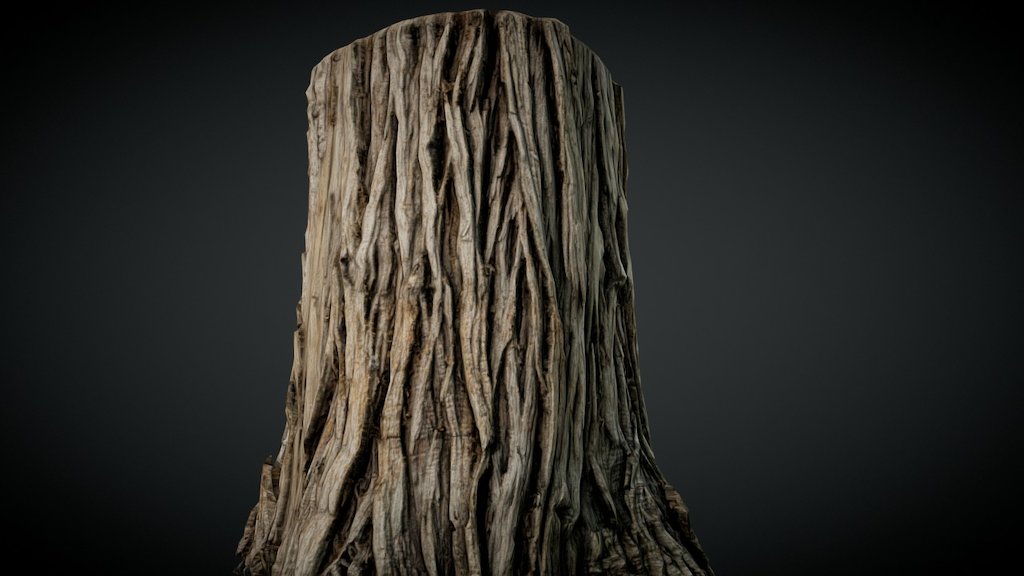 Tree bark - 3D model by dadolieros [4fe5303] - Sketchfab