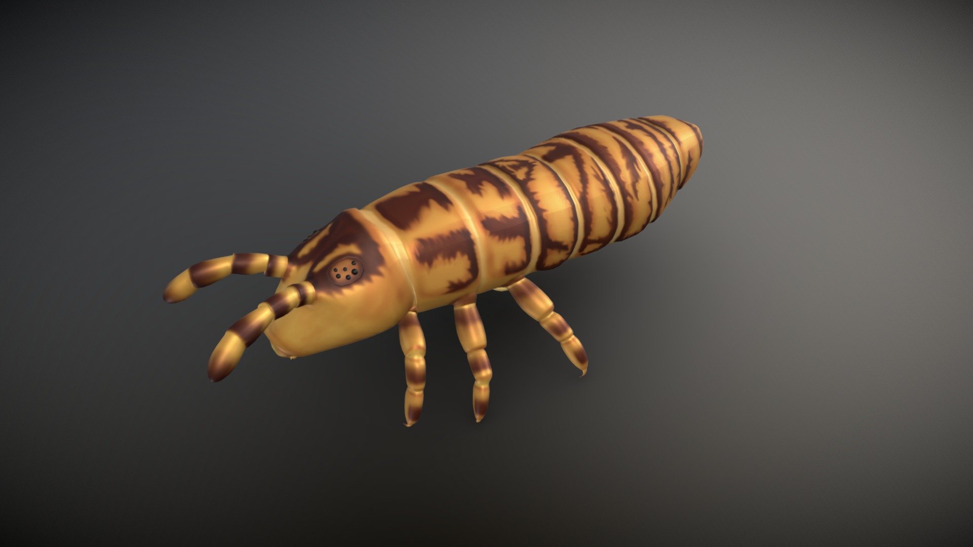 Rhyniella praecursor - 3D model by evolution.biologique [4fe8c88 ...