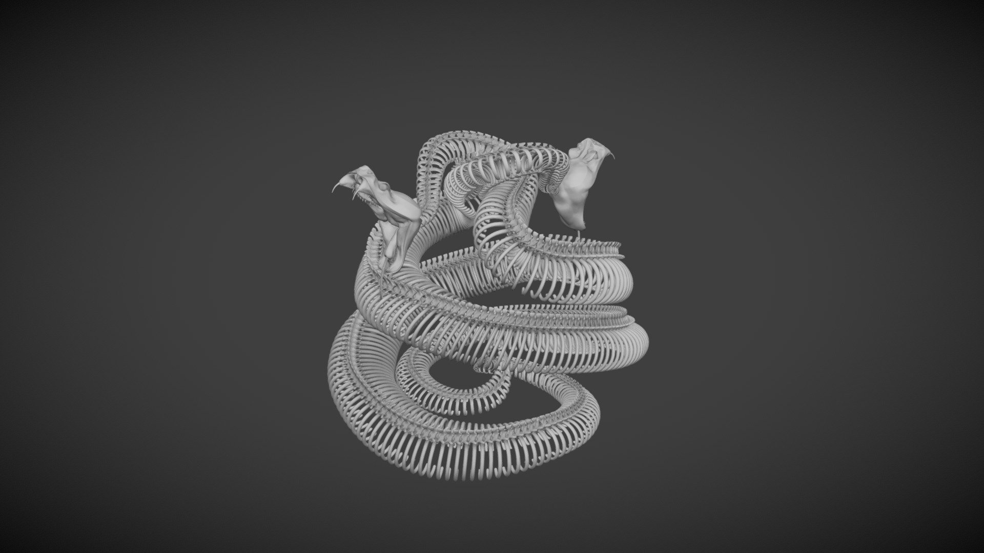 Serpente Anatomica - 3D model by Joshua Harker (@joshharker) [4feabe4 ...