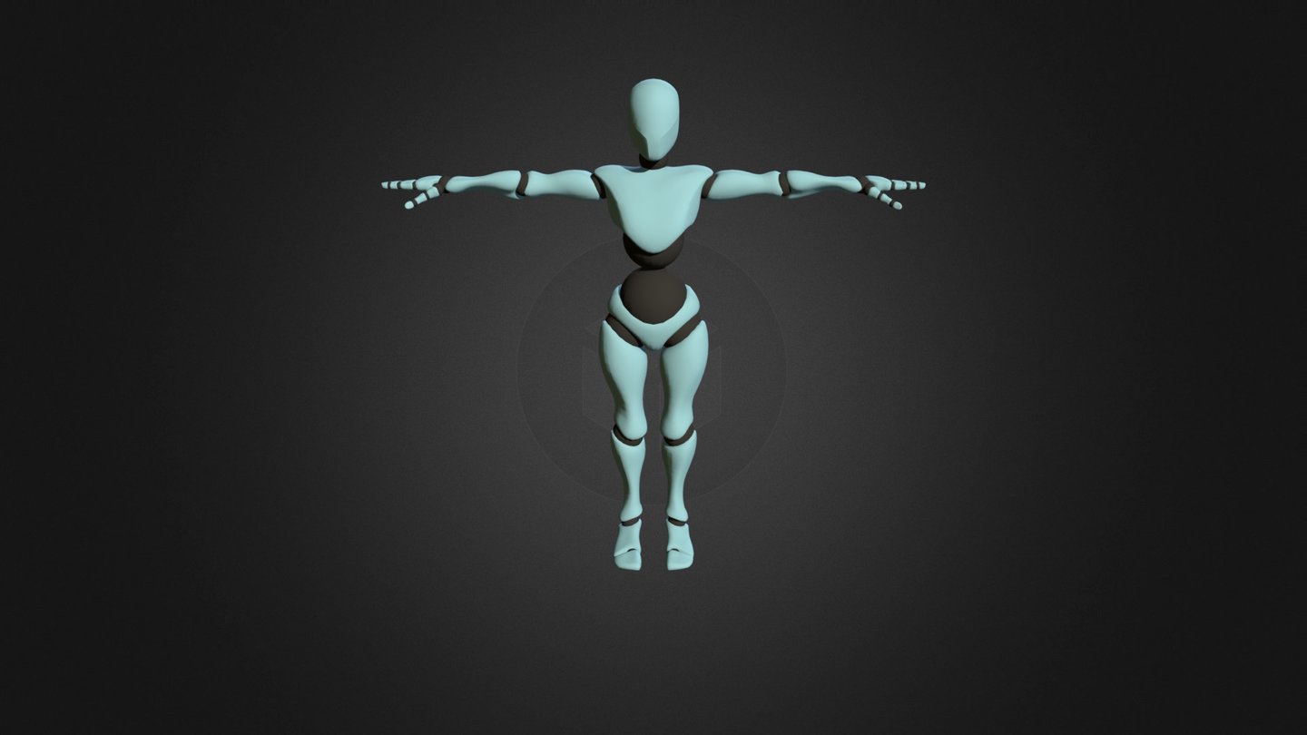 T pose for drawing practice - 3D model by ghocquet [4ff002f] - Sketchfab