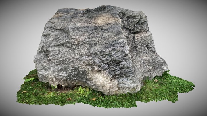 Erratic-boulder 3D models - Sketchfab