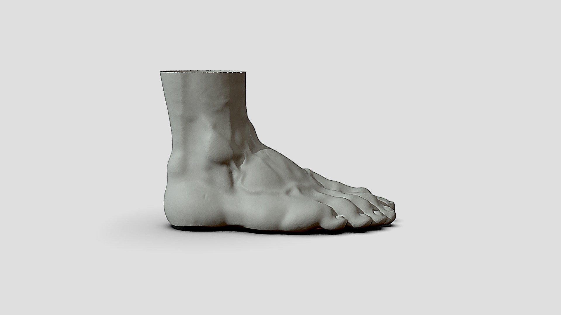 Male Foot - Download Free 3D model by leofinearts [4ffd5ec] - Sketchfab