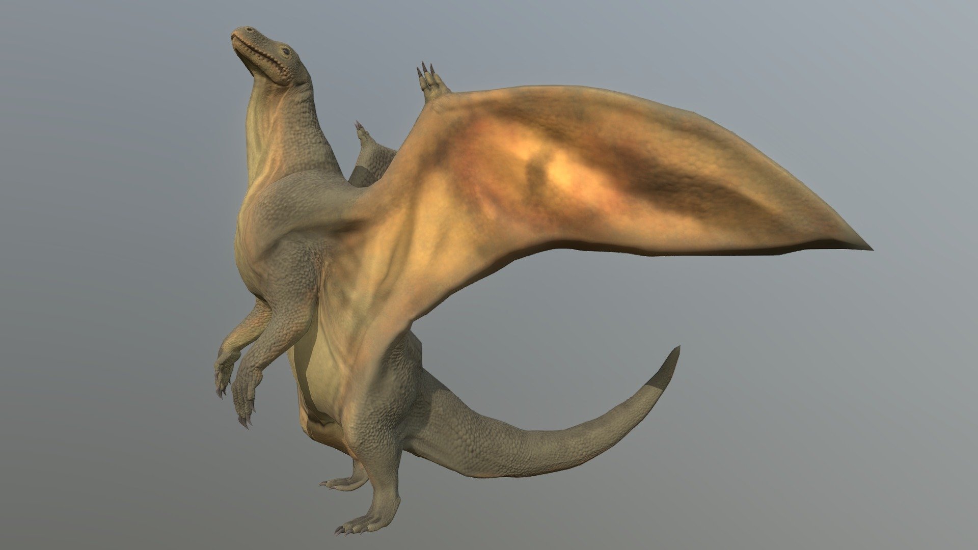 Realistic Dragon - 3D model by maple (@maplesyrupart) [5000bf3] - Sketchfab