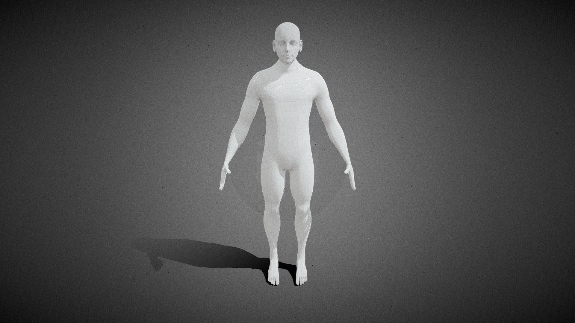 Human Body - Download Free 3D model by AjGohil (@ajaygohil106) [5004e01 ...