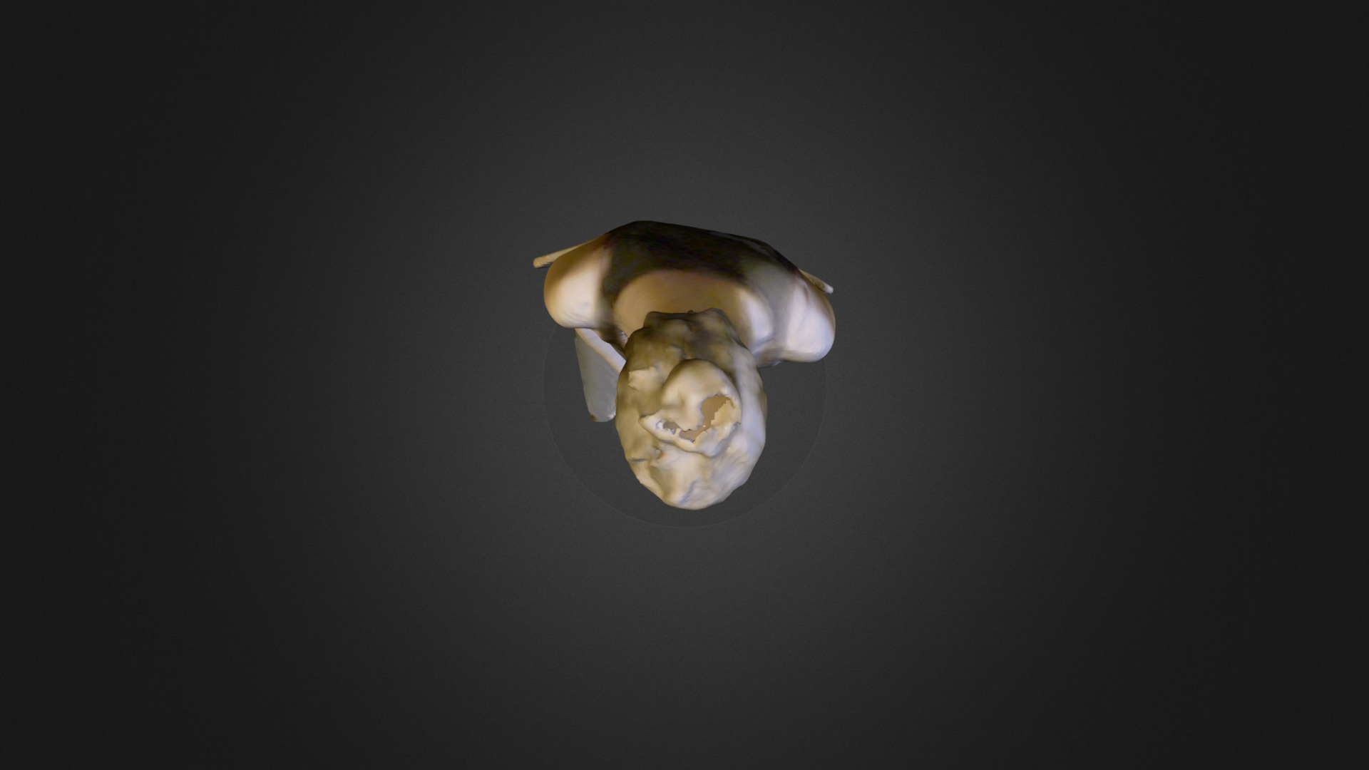 Manon R - 3D model by fridda [5005a26] - Sketchfab