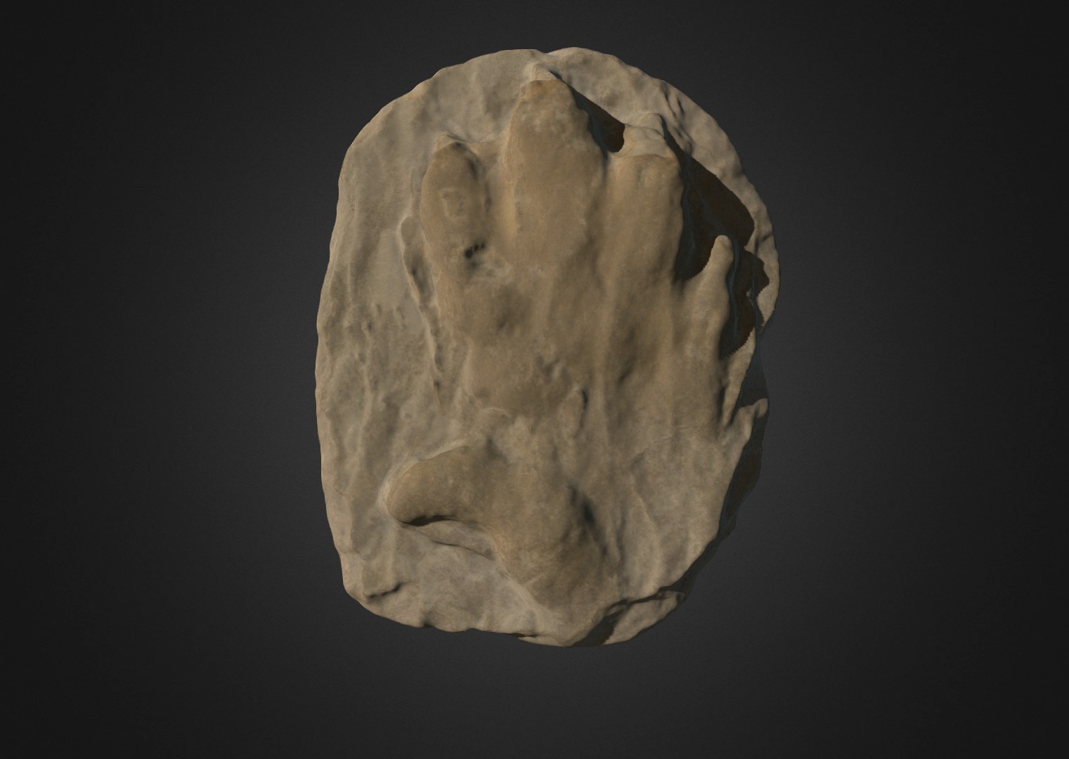 GSM 57816 Cheirotherium footprint - 3D model by 3d Fossils GB ...