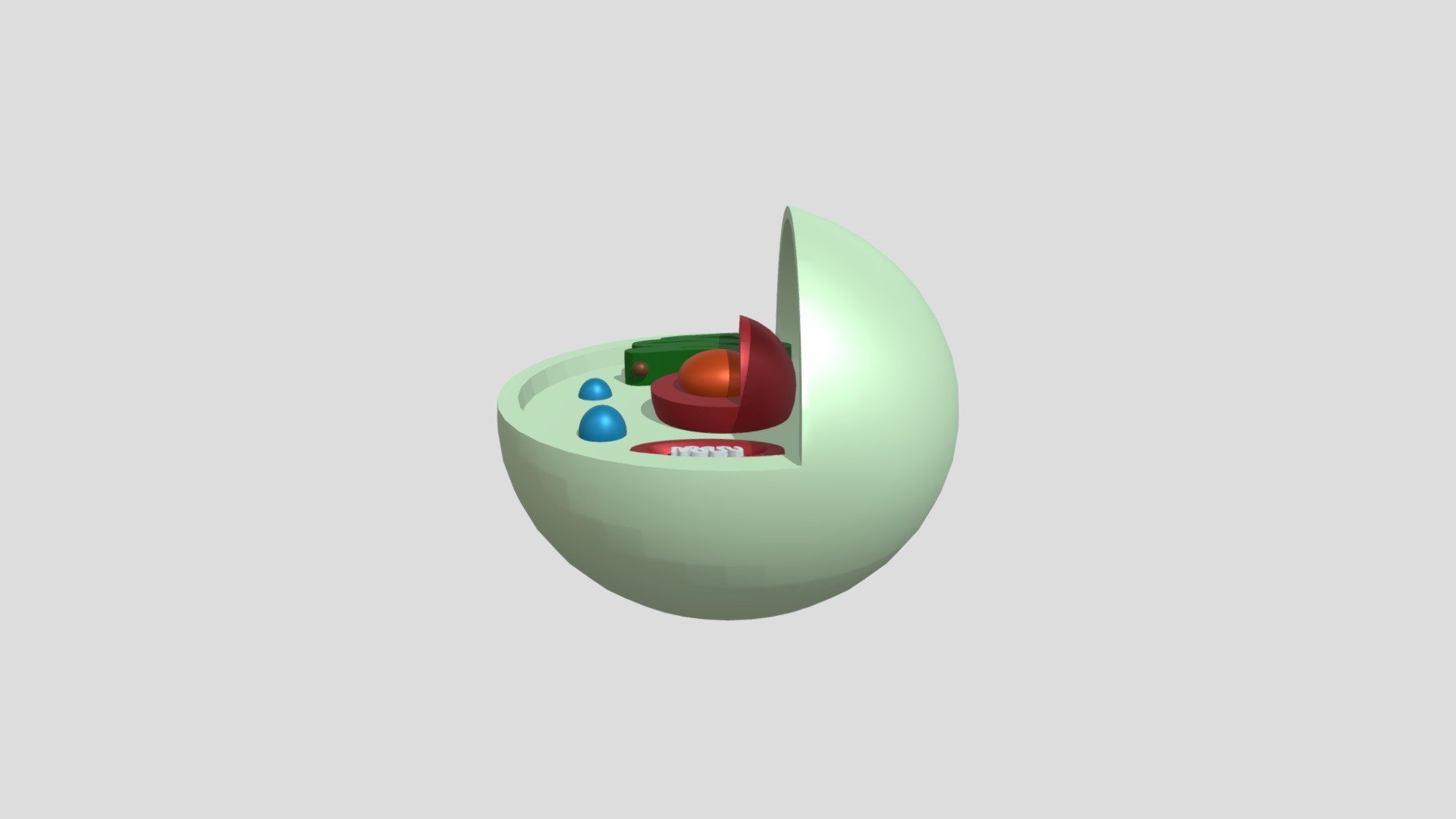 Sel Hewan - 3D model by Raisya_Rayadila [500d655] - Sketchfab