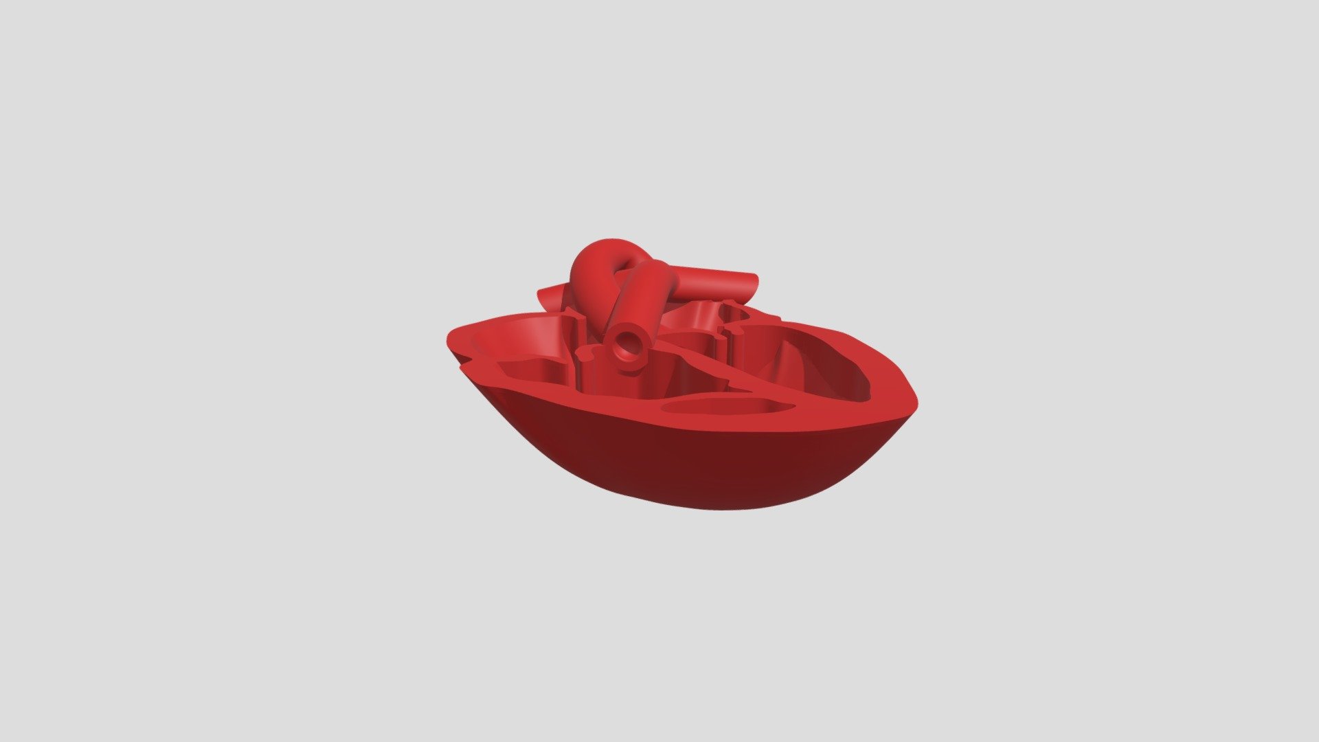 21 Week Fetal Heart Model - 3D model by NateBolte [501f32b] - Sketchfab