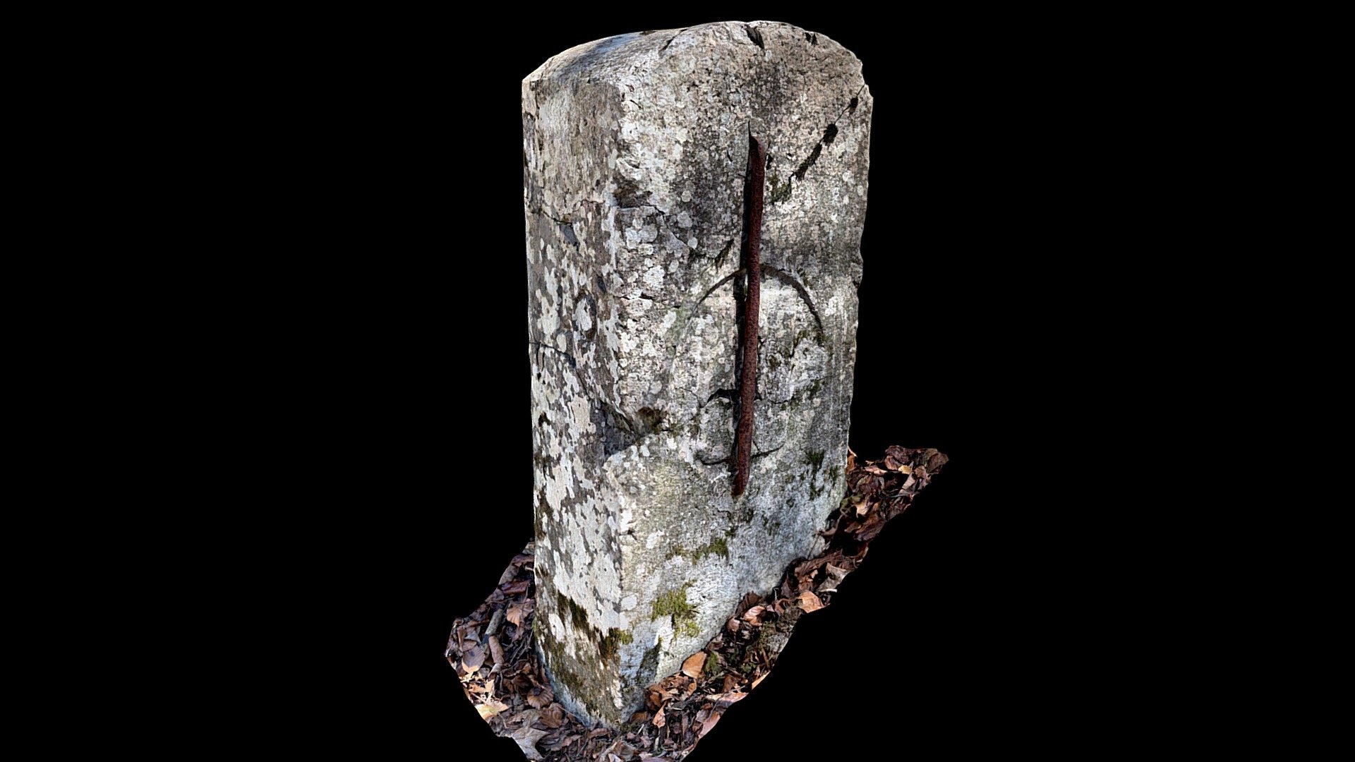 borNE-BE.40 - Download Free 3D model by clwacker [502d06f] - Sketchfab